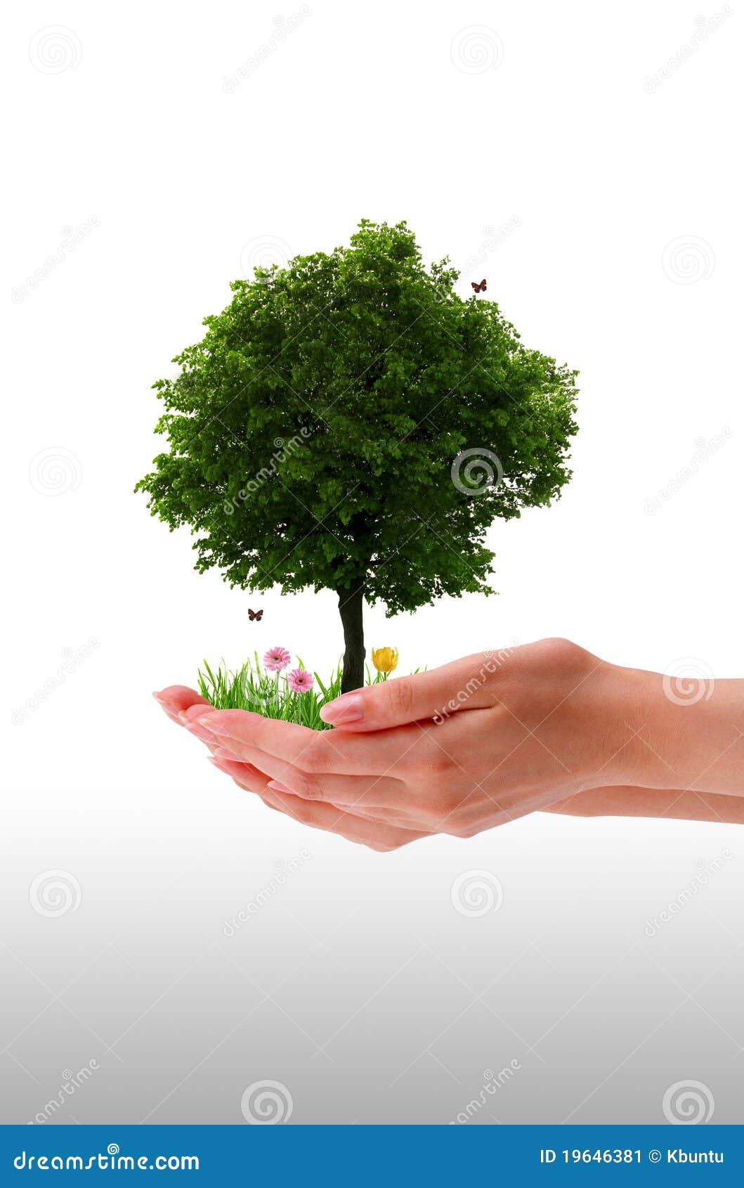 Boom - Hand stock illustratie. Illustration of wapen - 19646381