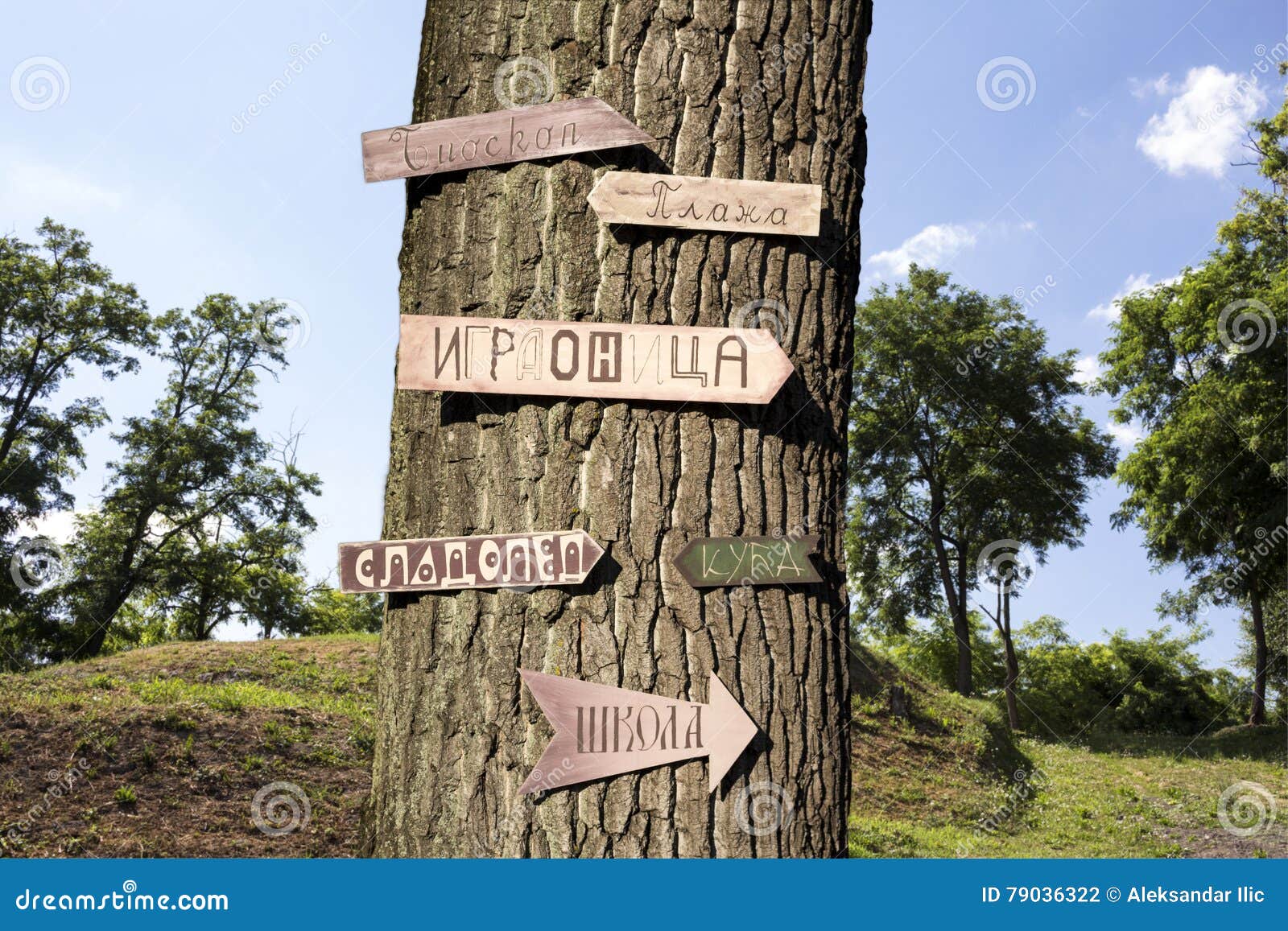 Boom in Het Hout Met Tekens Op Het Stock Foto - Image of grijs, gespeld ...