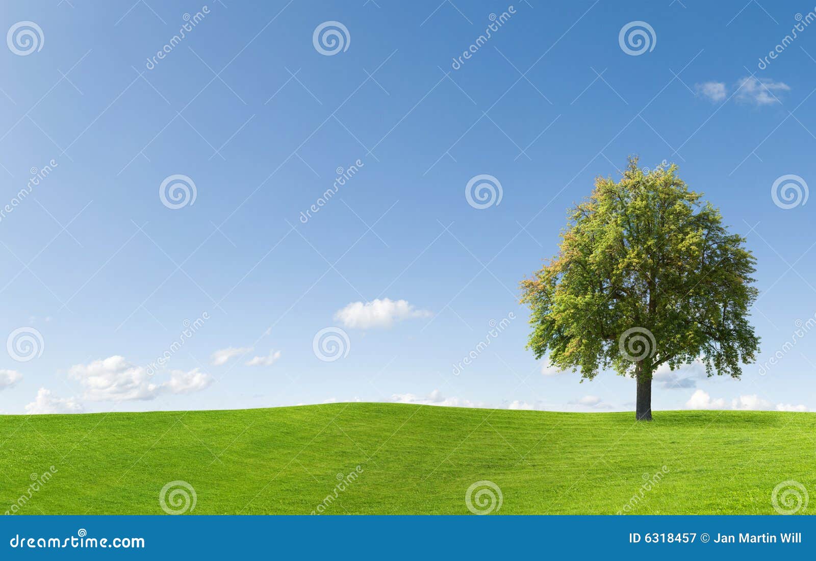 Boom in mooi landschap stock afbeelding. Image of openlucht - 6318457