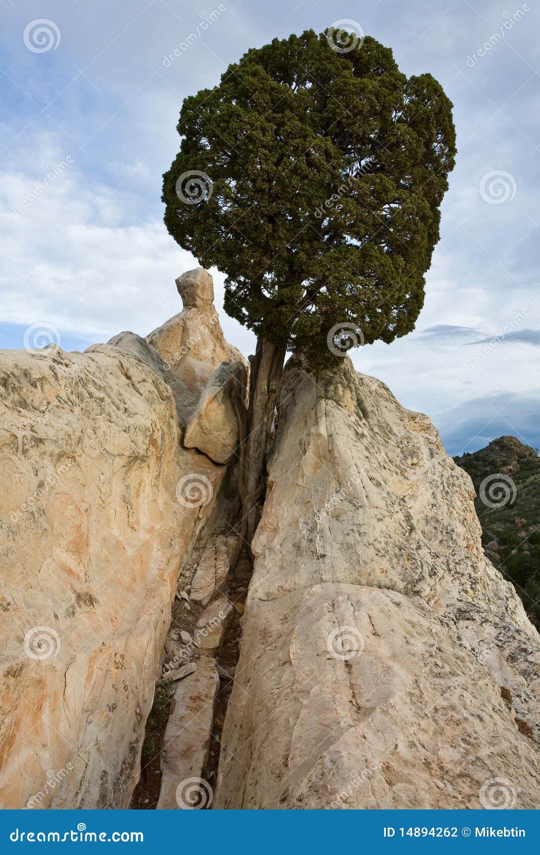 Boom op Witte Rots stock foto. Image of uitdaging, inspanning - 14894262