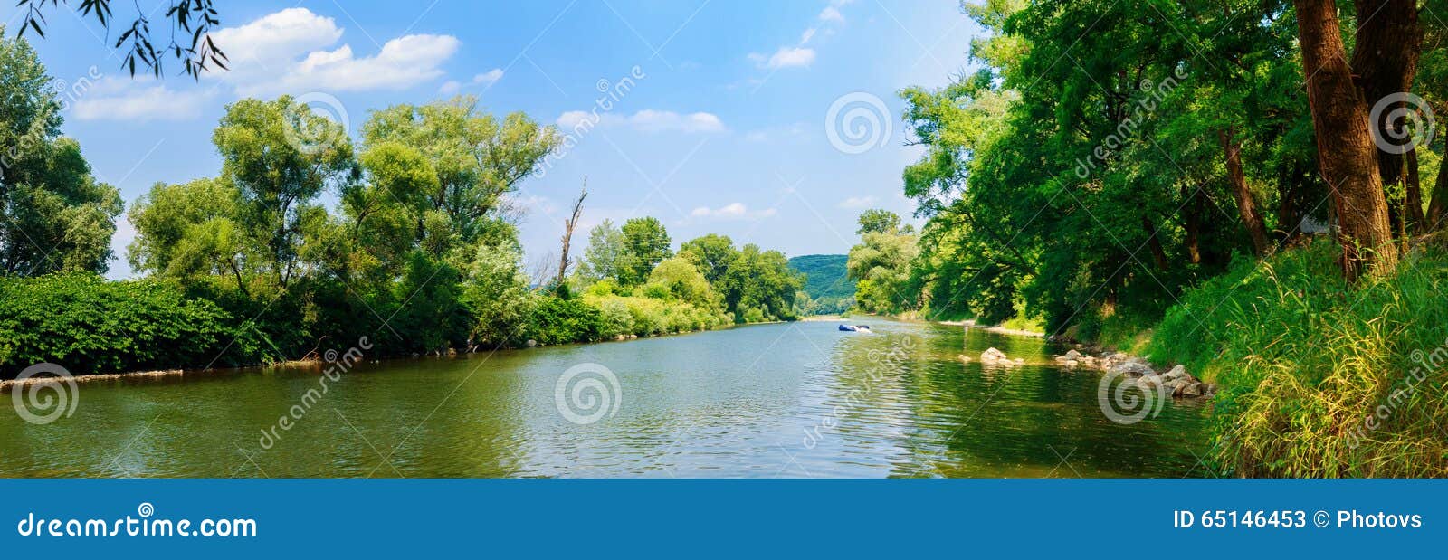 Boom, Water, Aard, Zon, De Lente, Bos Stock Afbeelding - Image of ...