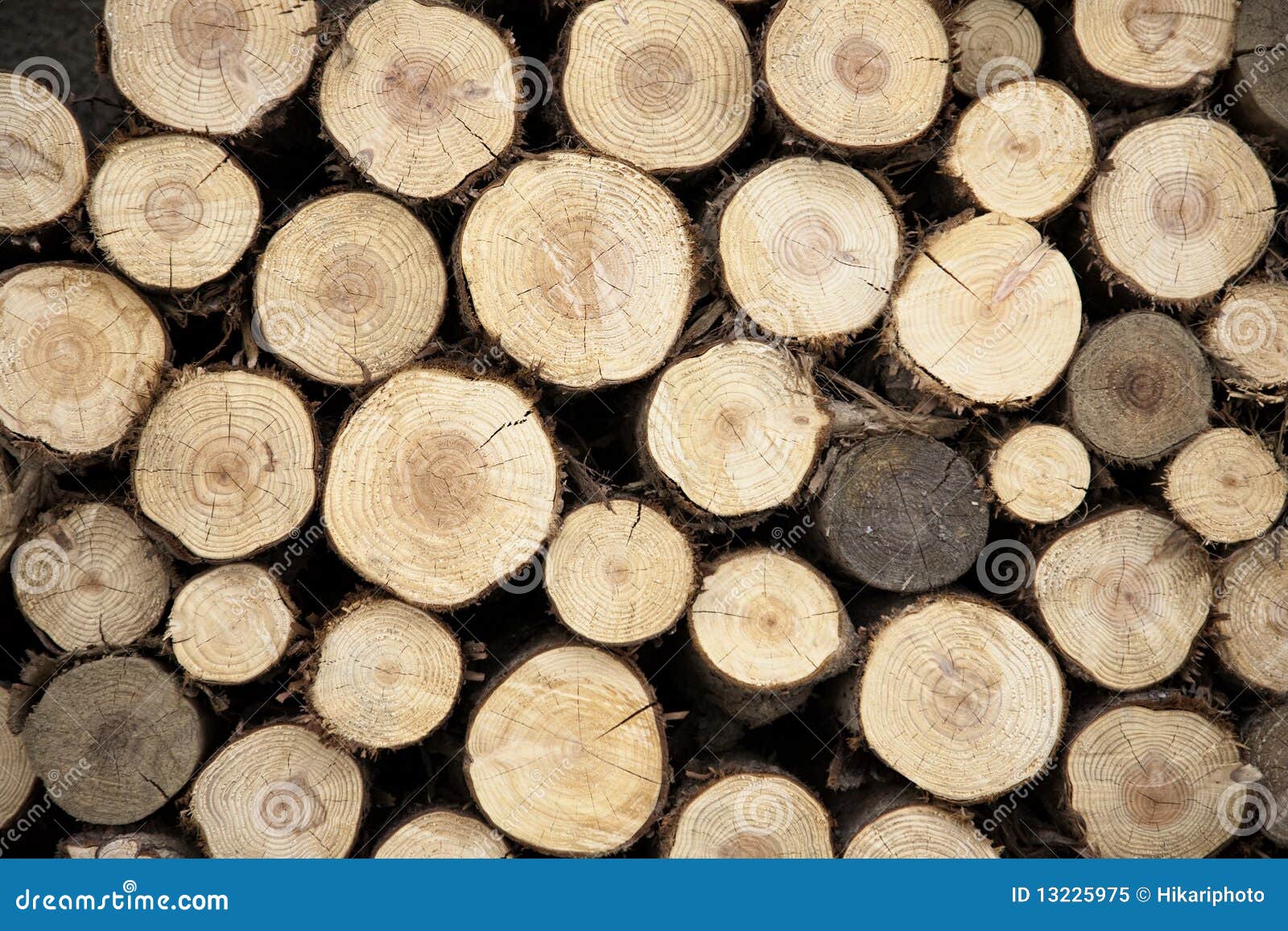 Boomstammen achtergrond stock afbeelding. Image of plak - 13225975