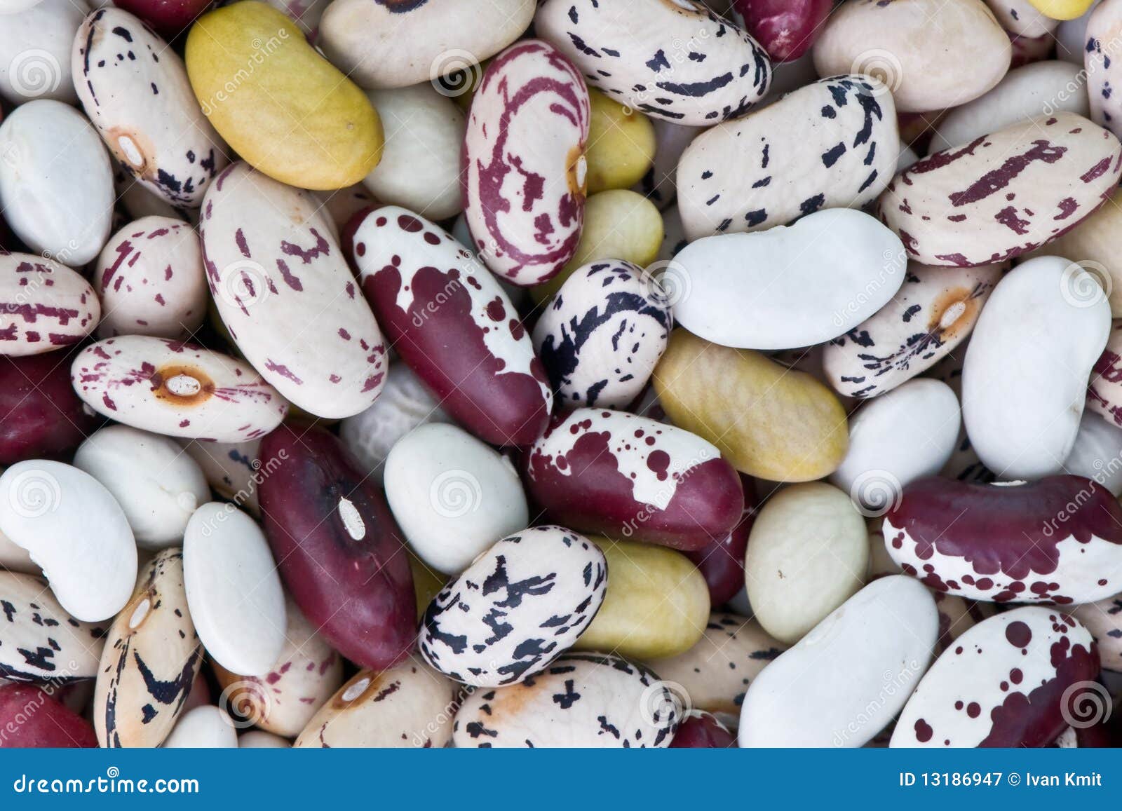 Boon stock afbeelding. Image of voedzaam, organisch, macro - 13186947