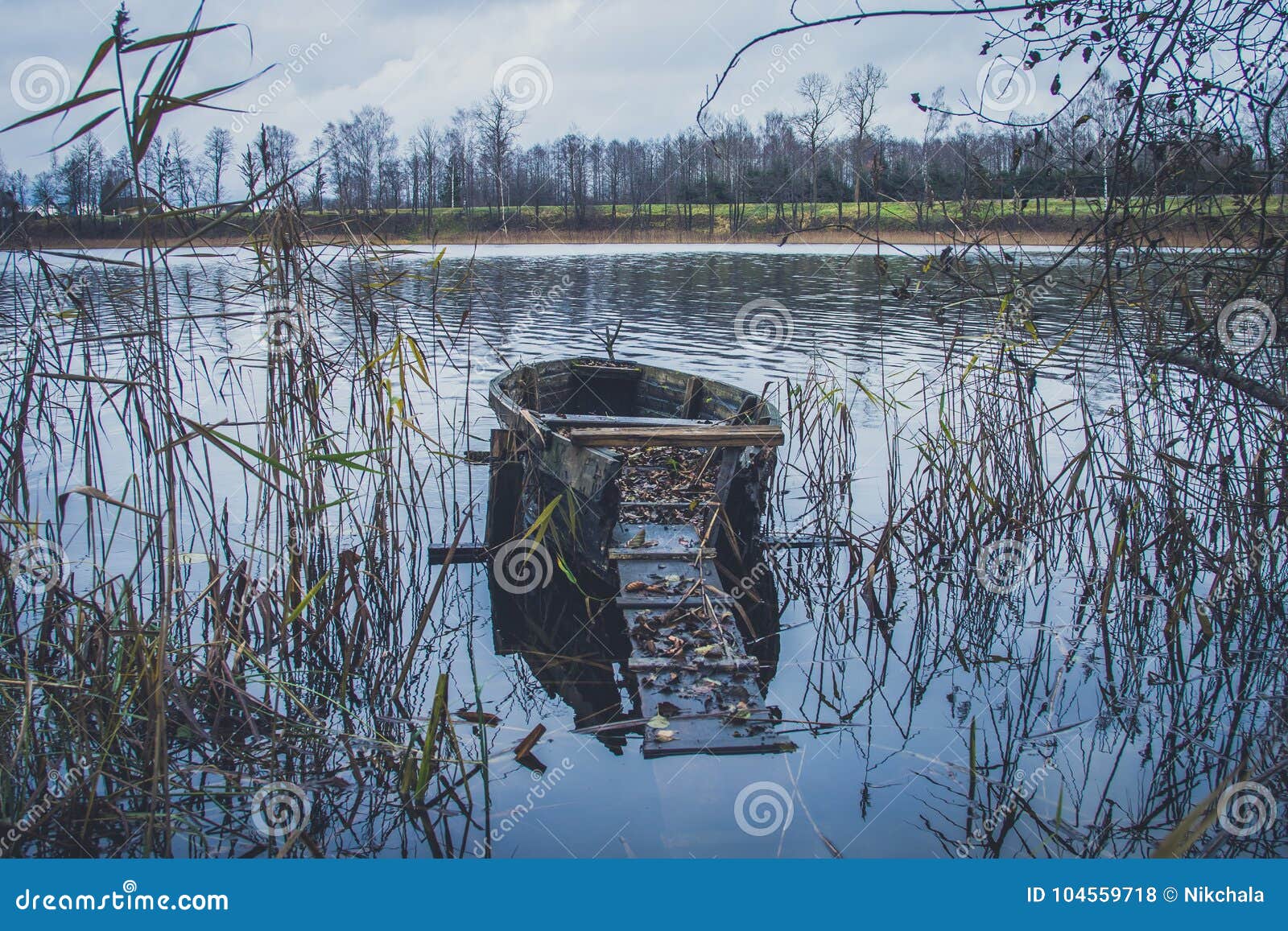 Boot Auf Dem Fluss, See Ein Boot Mit Rudern Stockfoto - Bild von ...