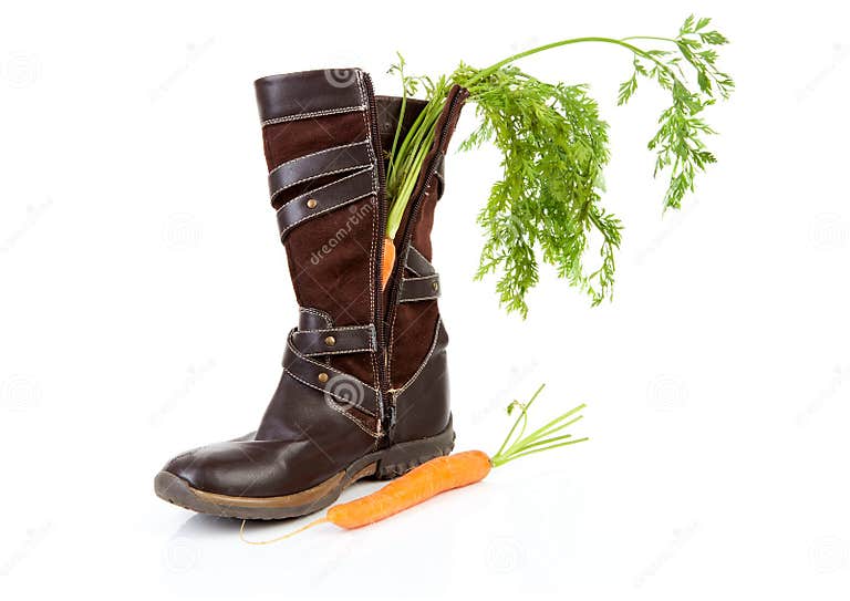 Boot with Carrot for Dutch Sinterklaas Stock Image - Image of event ...