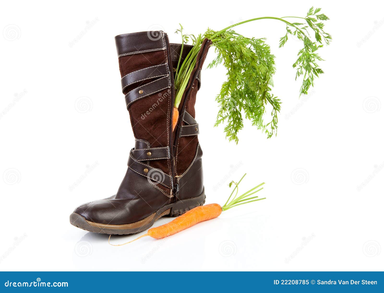 Boot with Carrot for Dutch Sinterklaas Stock Image - Image of feast ...
