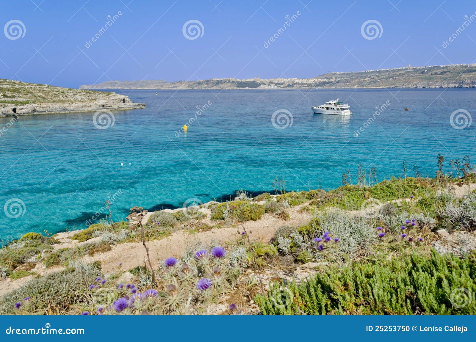 Boot in Der Blauen Lagune - Malta Stockfoto - Bild von exotisch ...