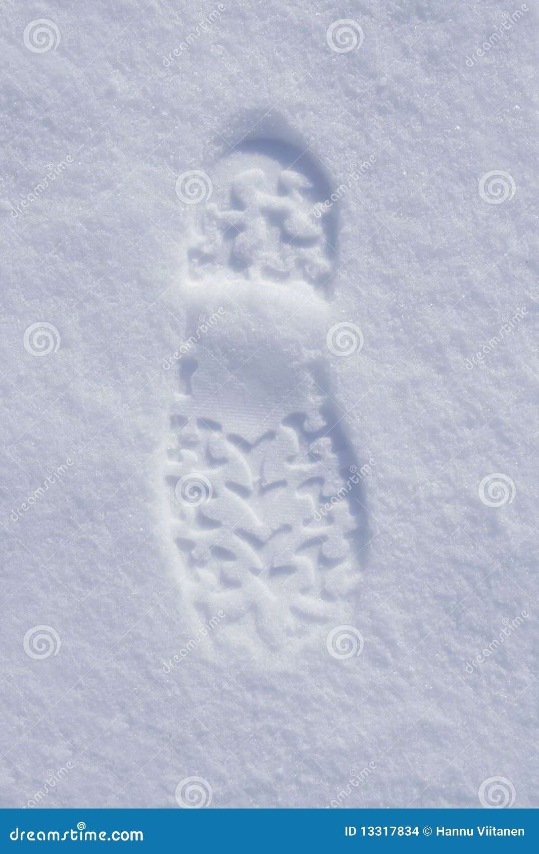 Boot Footprint In A Snowy Forest Mountains Pathway Stock Image ...