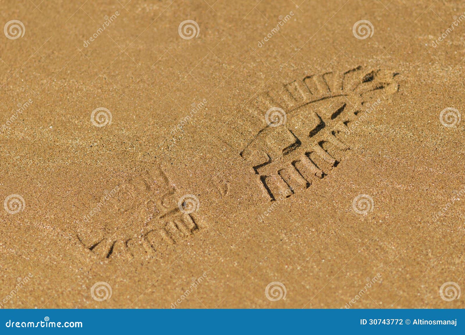 Boot Footprint In A Snowy Forest Mountains Pathway Stock Image ...