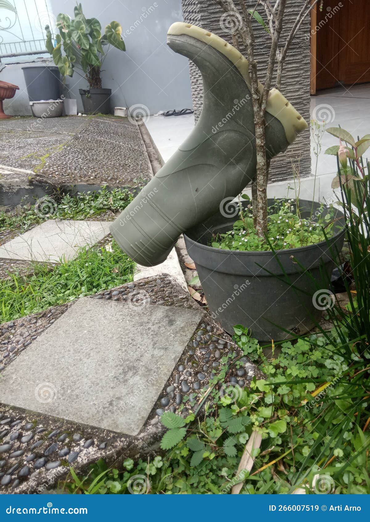 The Boot Got Stuck in the Crack of the Plant Stock Image - Image of ...