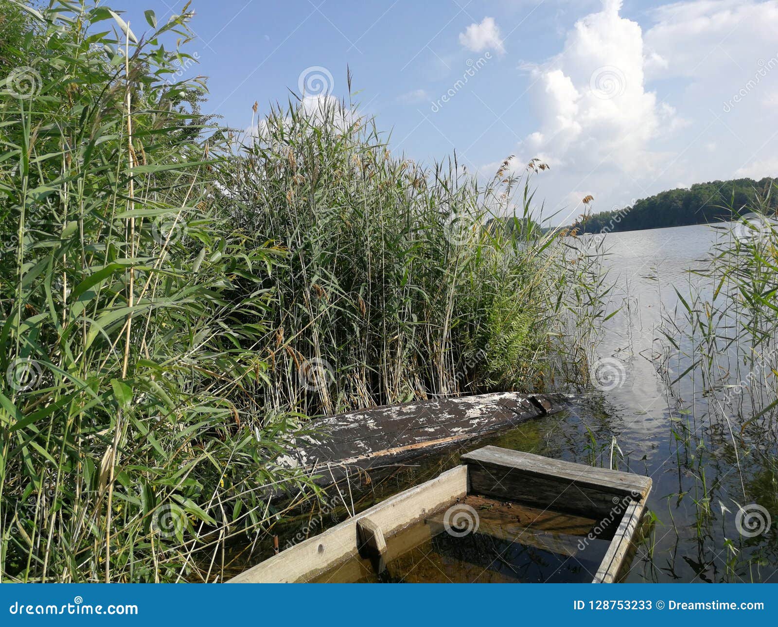 Boot in het riet stock afbeelding. Image of zonsondergang - 128753233