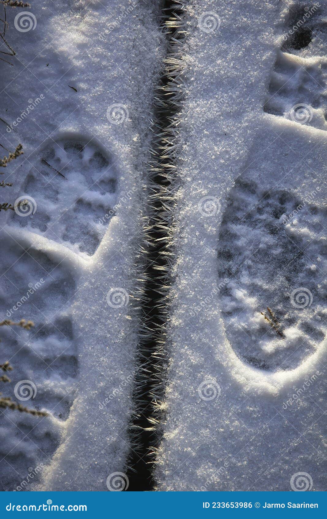 Boot marks on the plank stock photo. Image of pattern - 233653986