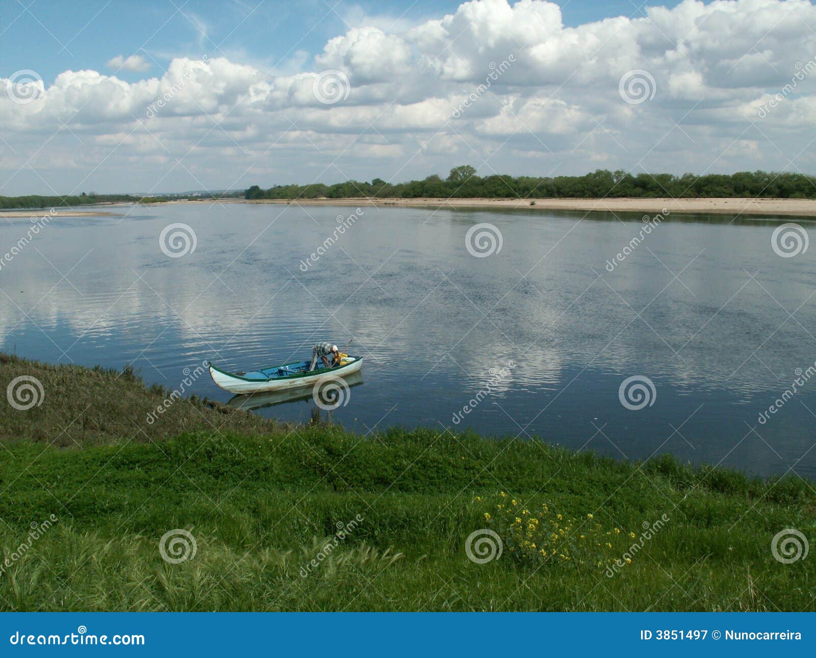 Boot op Rivier Tejo stock afbeelding. Image of hout, gras - 3851497