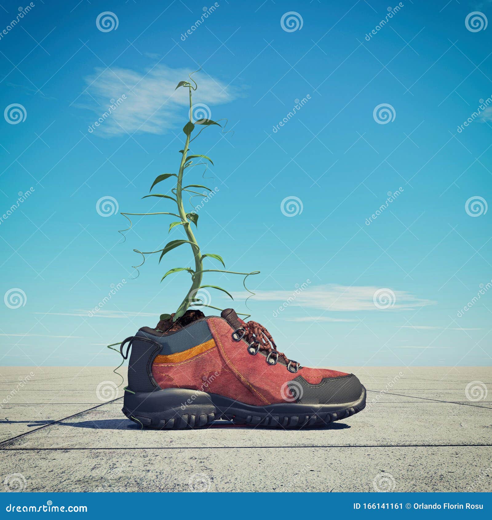 Boot Plant. Plant Growing into a Shoe Stock Illustration - Illustration ...