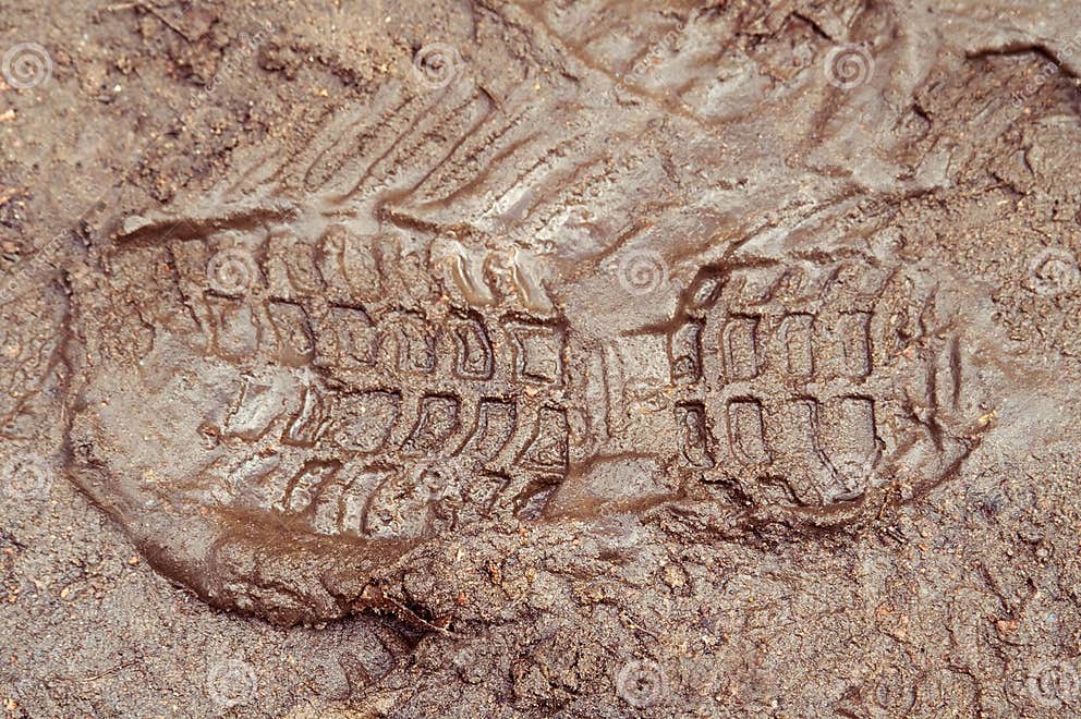 Boot print in brown mud stock photo. Image of sport, symbol - 4903954