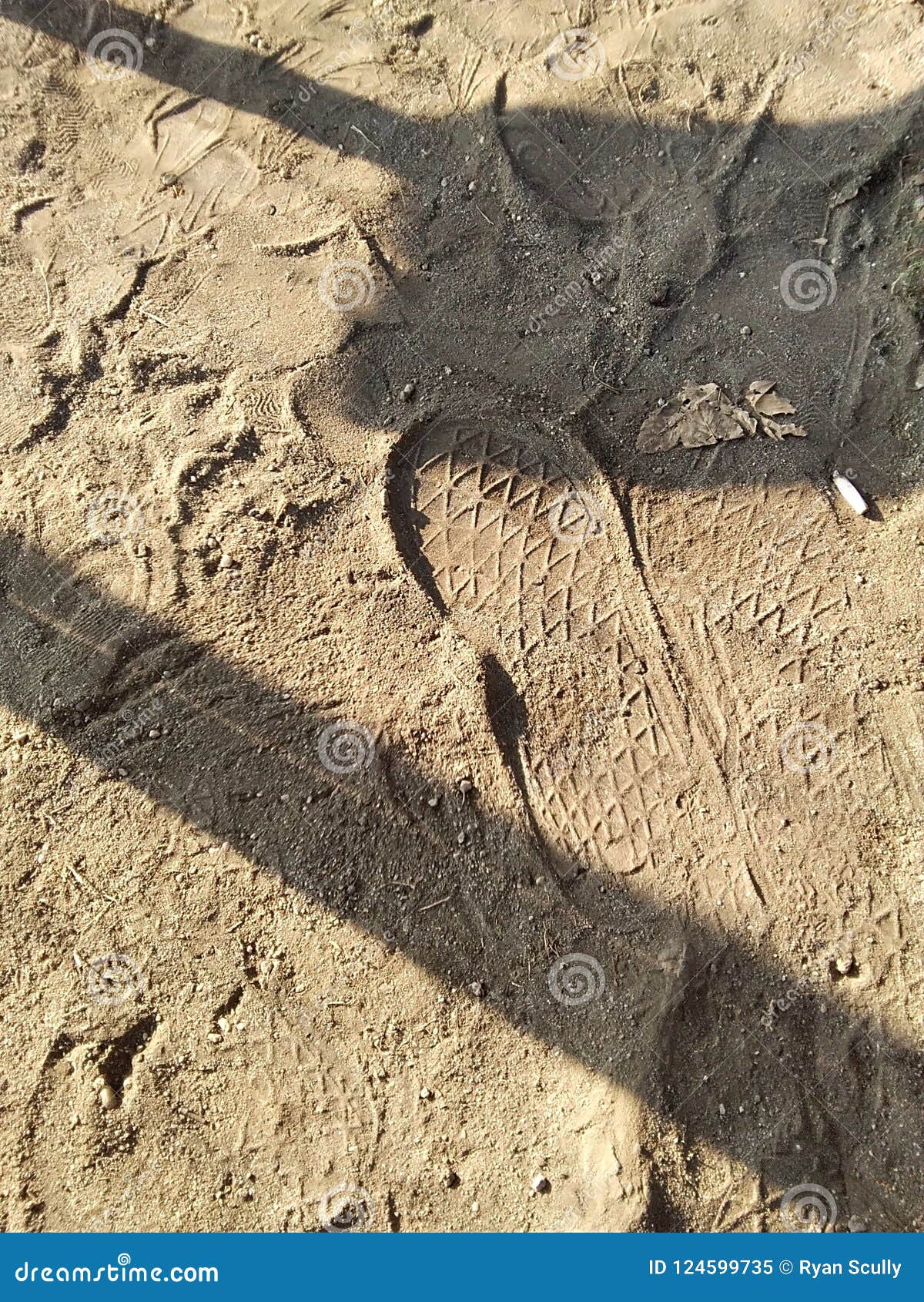 Boot print cigarette stock image. Image of stubbed, dirt - 124599735