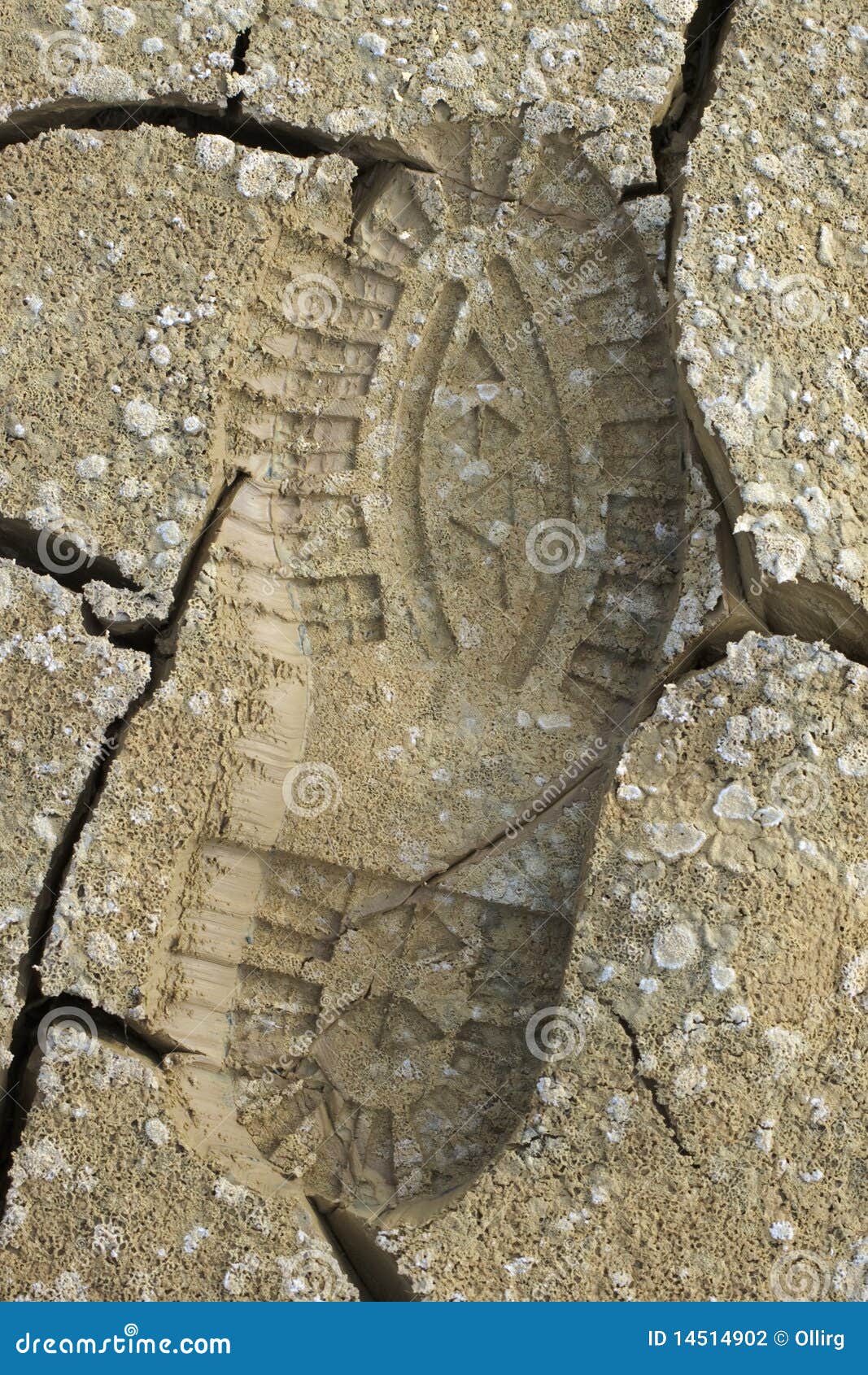 Boot Print on Cracked Mud stock photo. Image of sand - 14514902