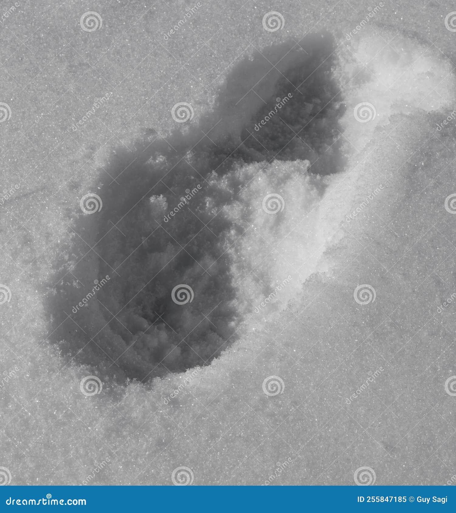 Boot print in a fresh snow stock image. Image of hiking - 255847185