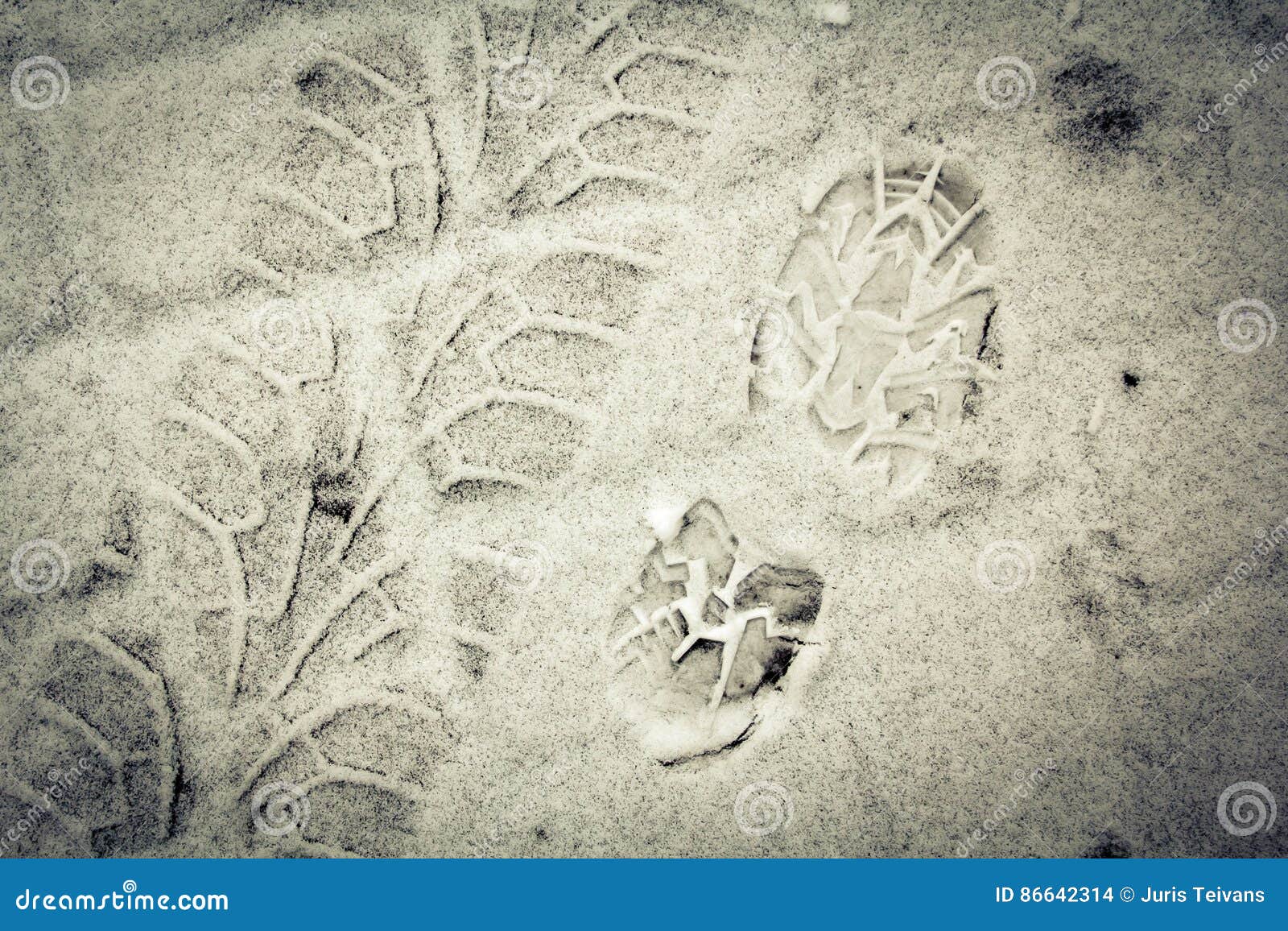 Boot Print and Tyre Track on a Snow Stock Photo - Image of imprint ...