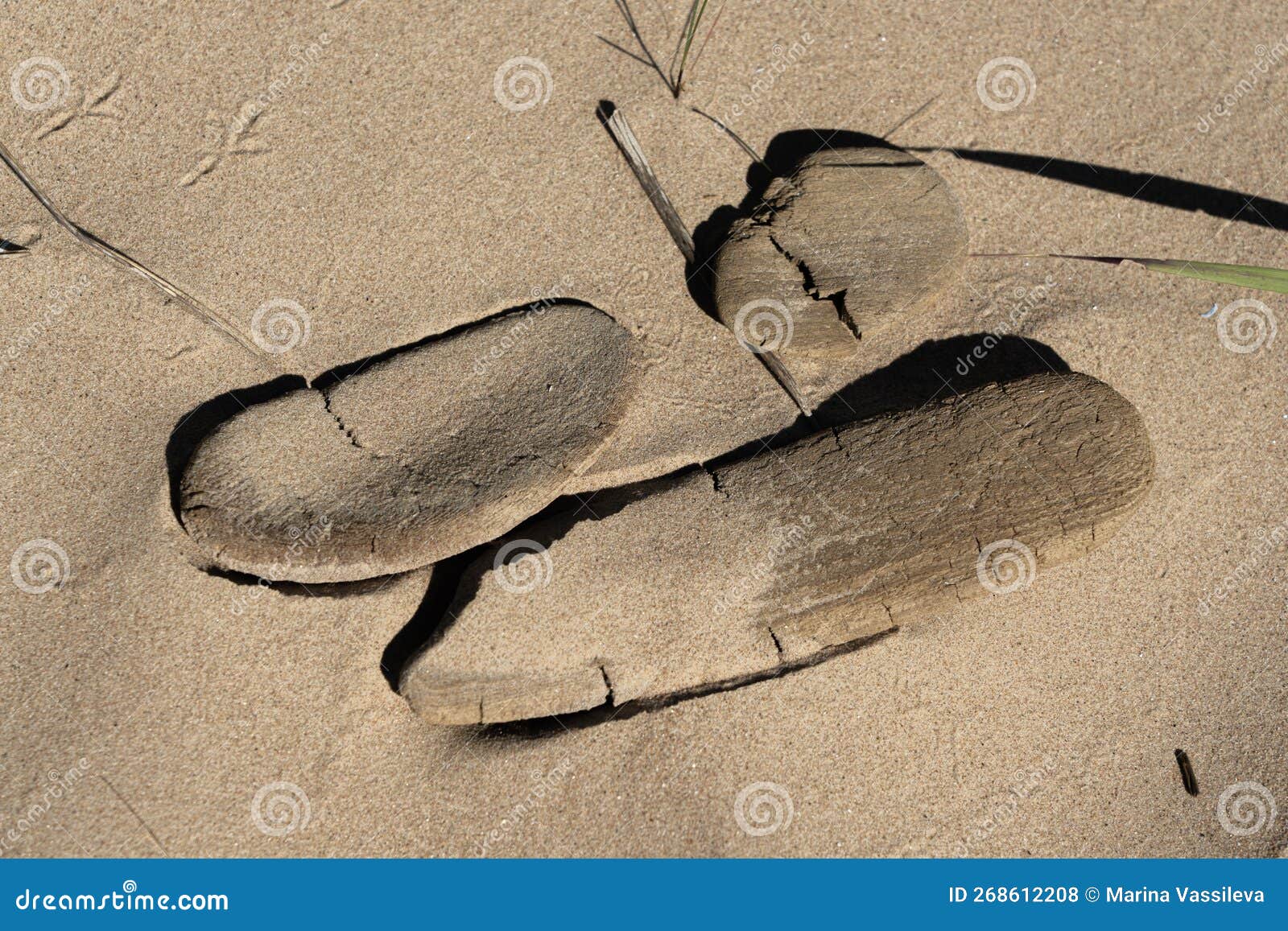 Boot Prints on Wet Sand on the Beach. Stock Photo - Image of human ...
