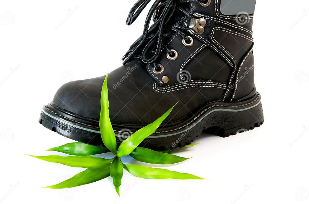Boot and sprout stock image. Image of destroy, conception - 11067971