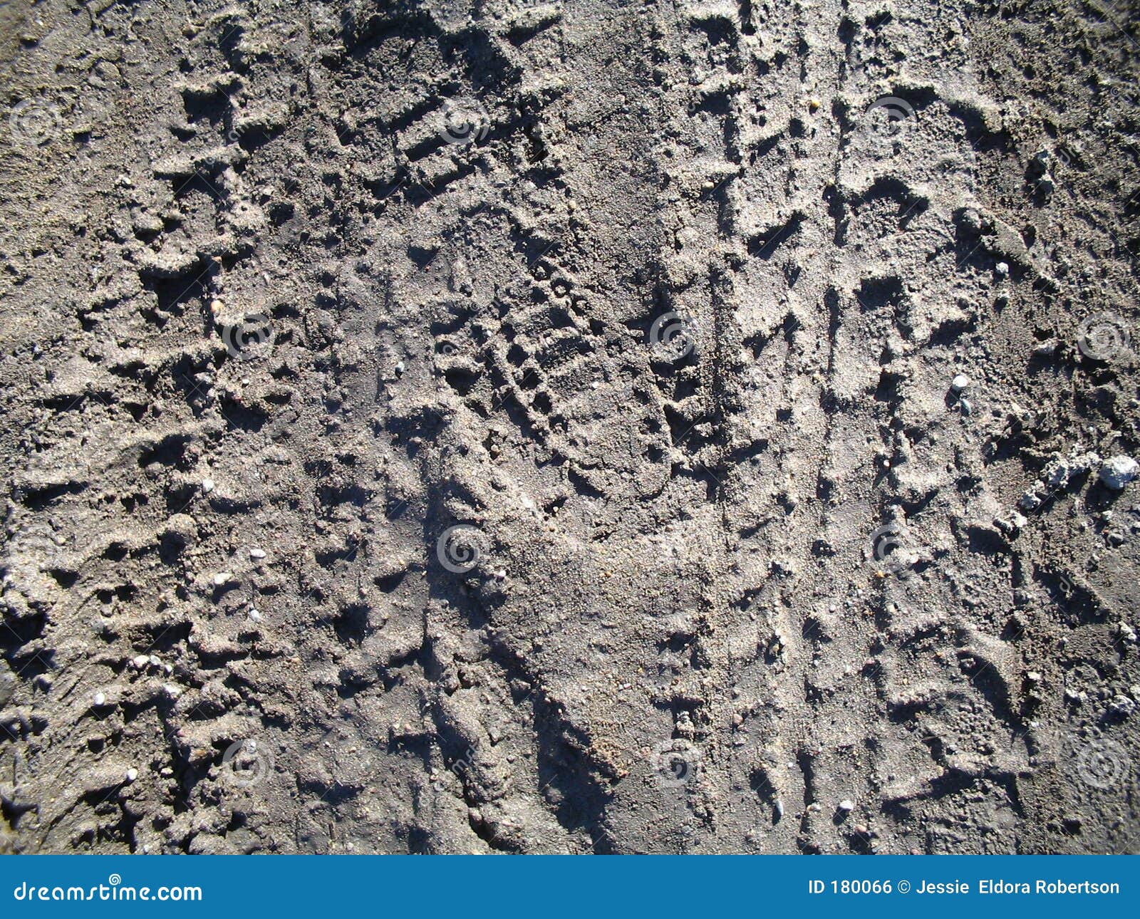 Bigfoot Tracks Stock Photos - Free & Royalty-Free Stock Photos from ...