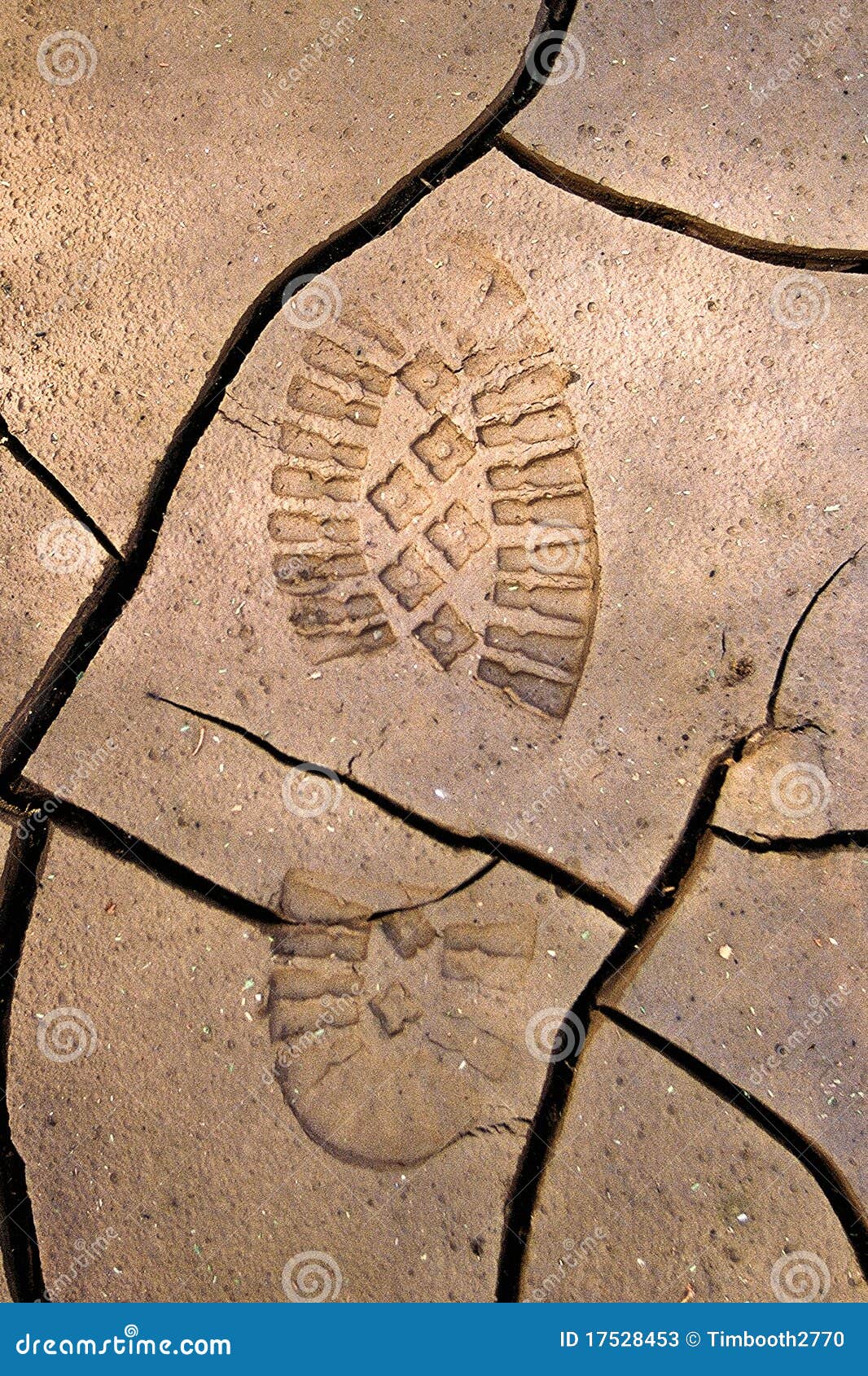 Bootprint in cracked earth stock image. Image of drought - 17528453