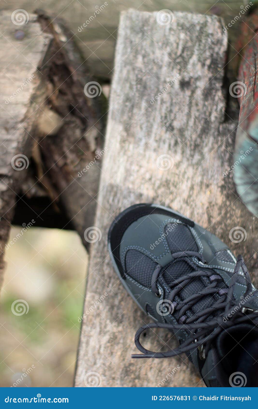 Boots on the ground stock image. Image of leaf, animal - 226576831