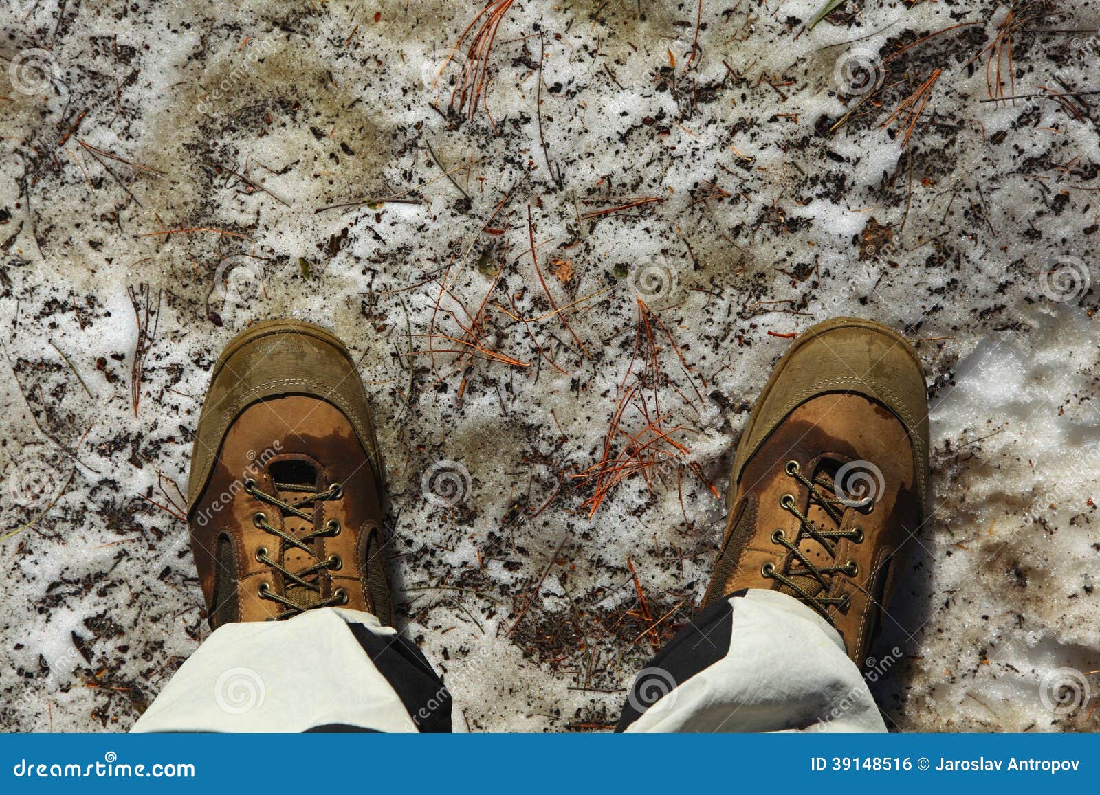 Boots on the melt snow stock photo. Image of needles - 39148516