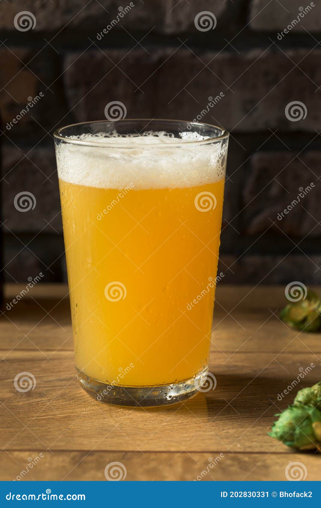 Boozy Refreshing Hoppy IPA Beer Stock Image - Image of alcohol, cold ...