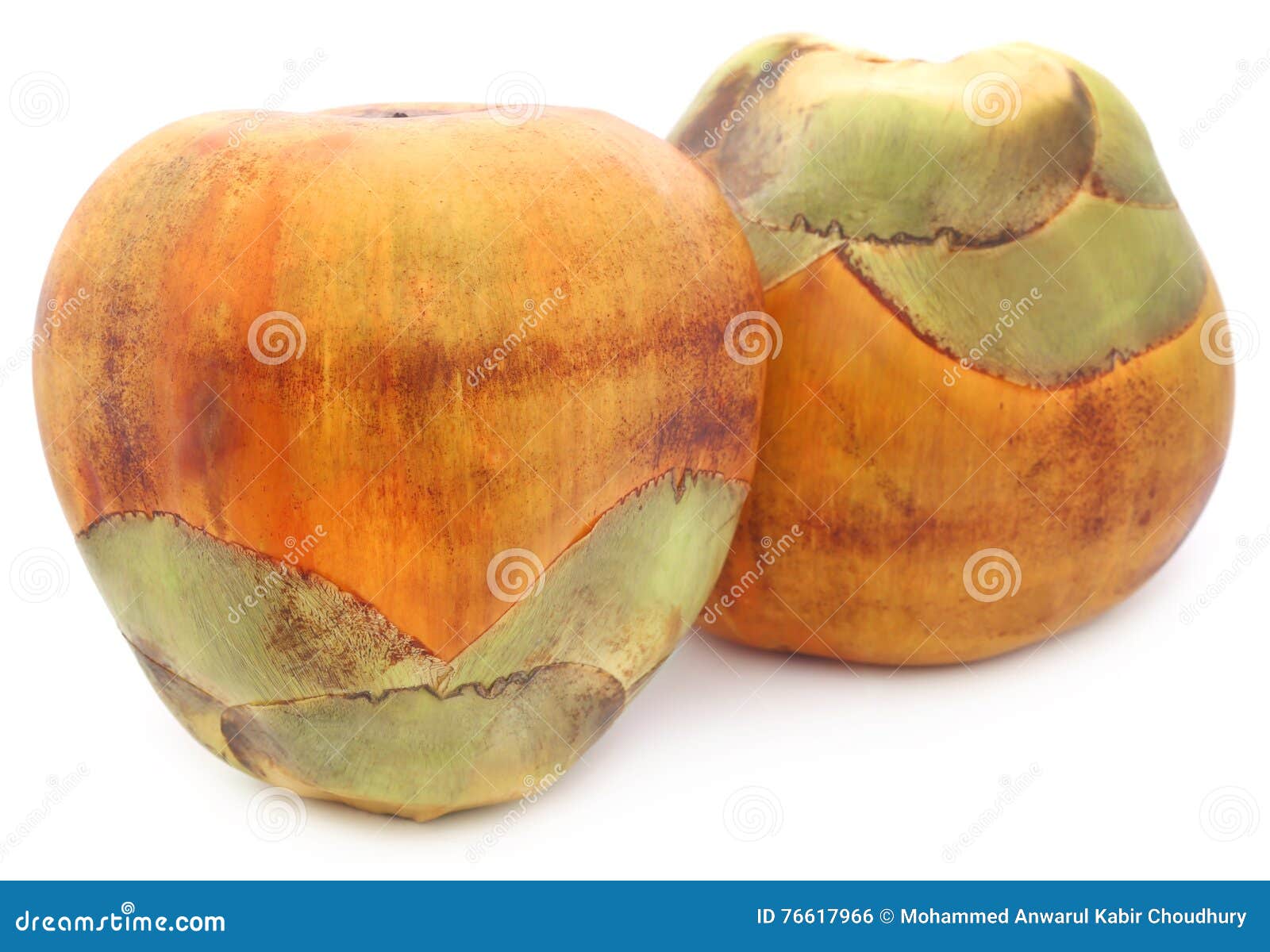Borassus Flabellifer or Tal Fruit Stock Photo - Image of munjal, indian ...
