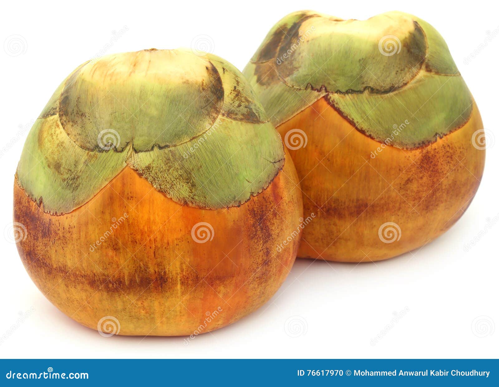 Borassus Flabellifer or Tal Fruit Stock Photo - Image of flora, indian ...