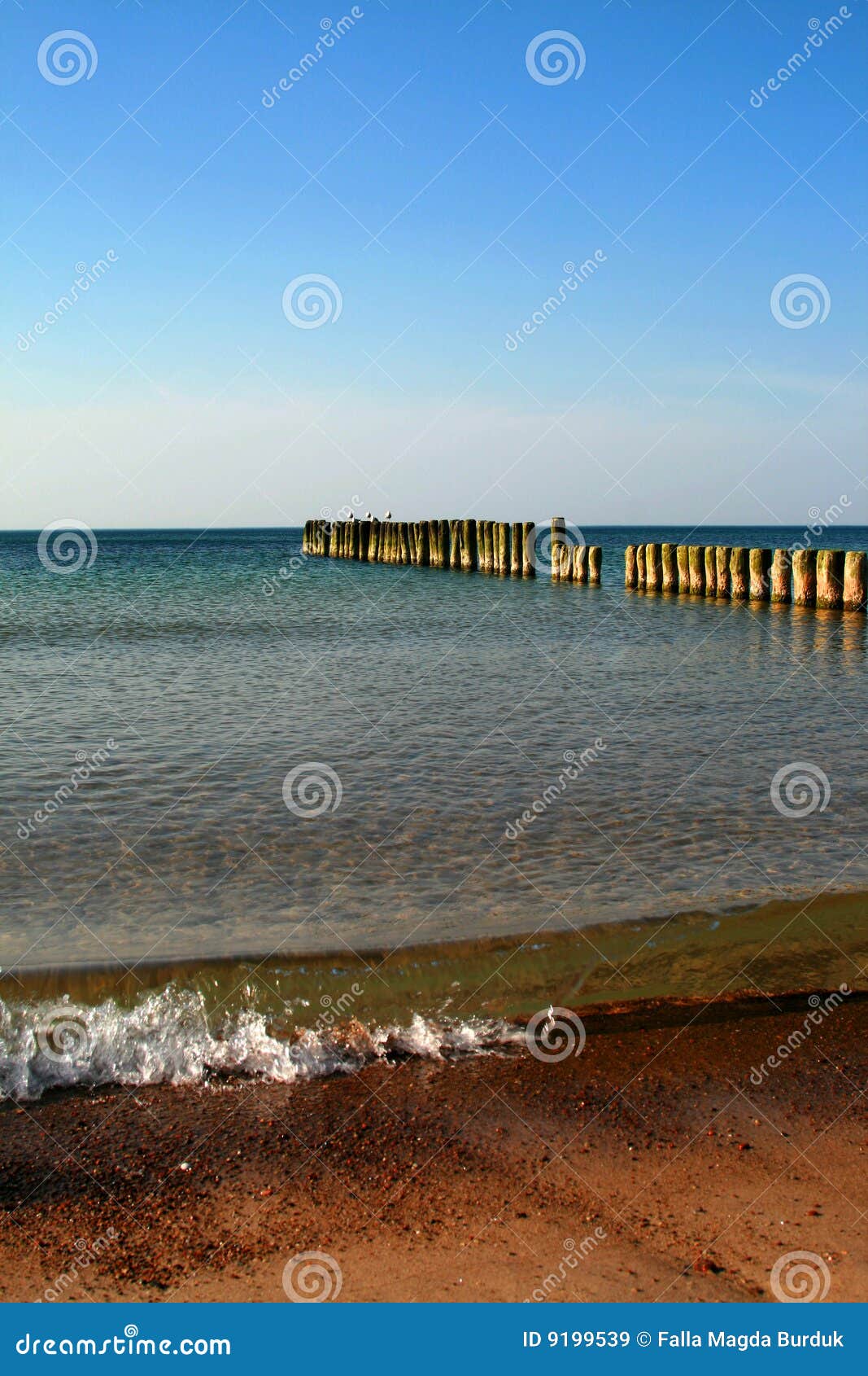 Bord de la mer image stock. Image du sable, roches, pierres - 9199539