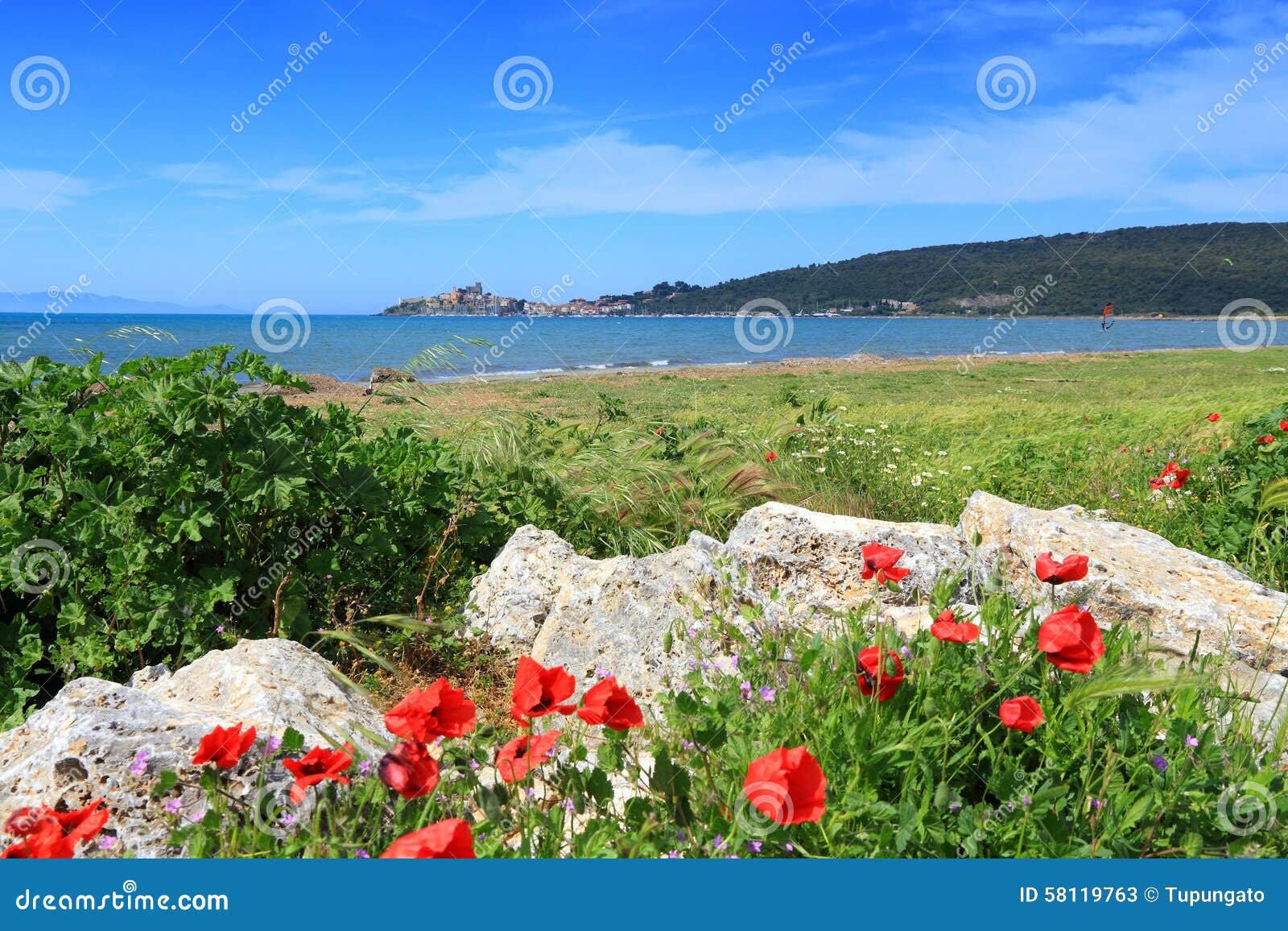 Bord De La Mer De La Toscane Image stock - Image du vert, côte: 58119763