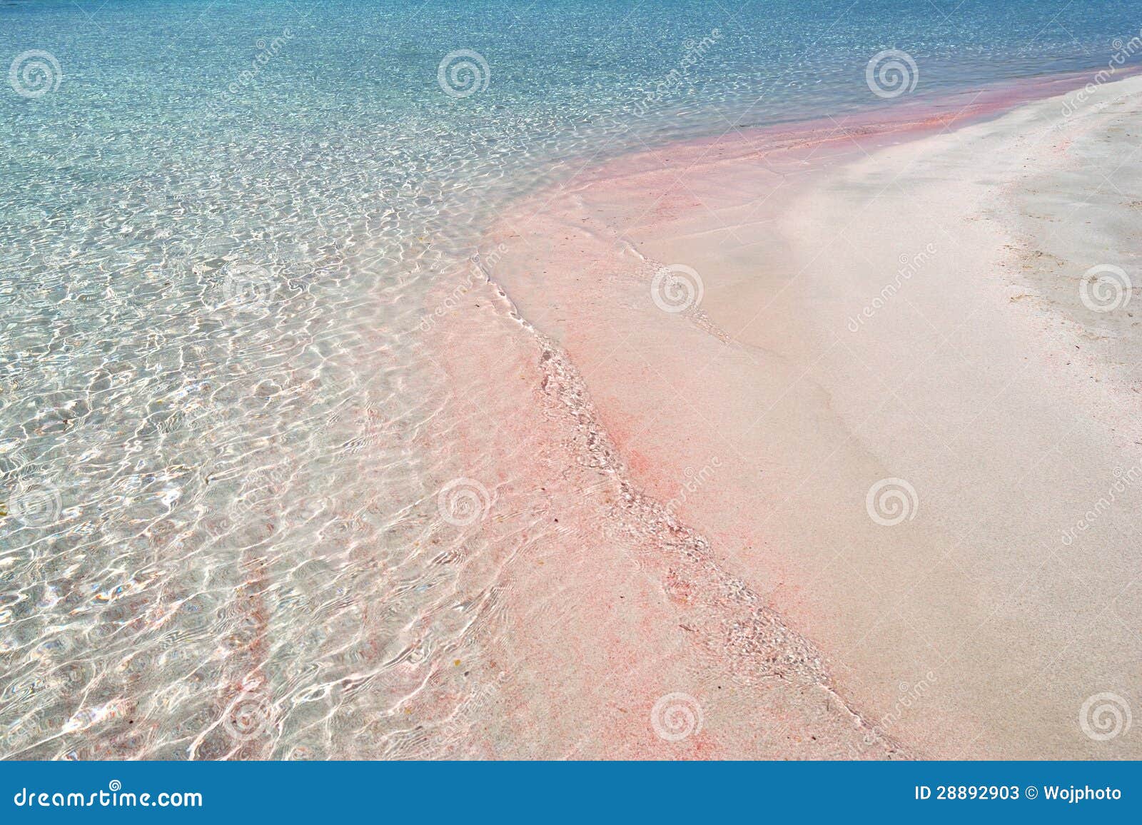 Bord De Mer Rose De Plage De Sable Image stock - Image du plage ...