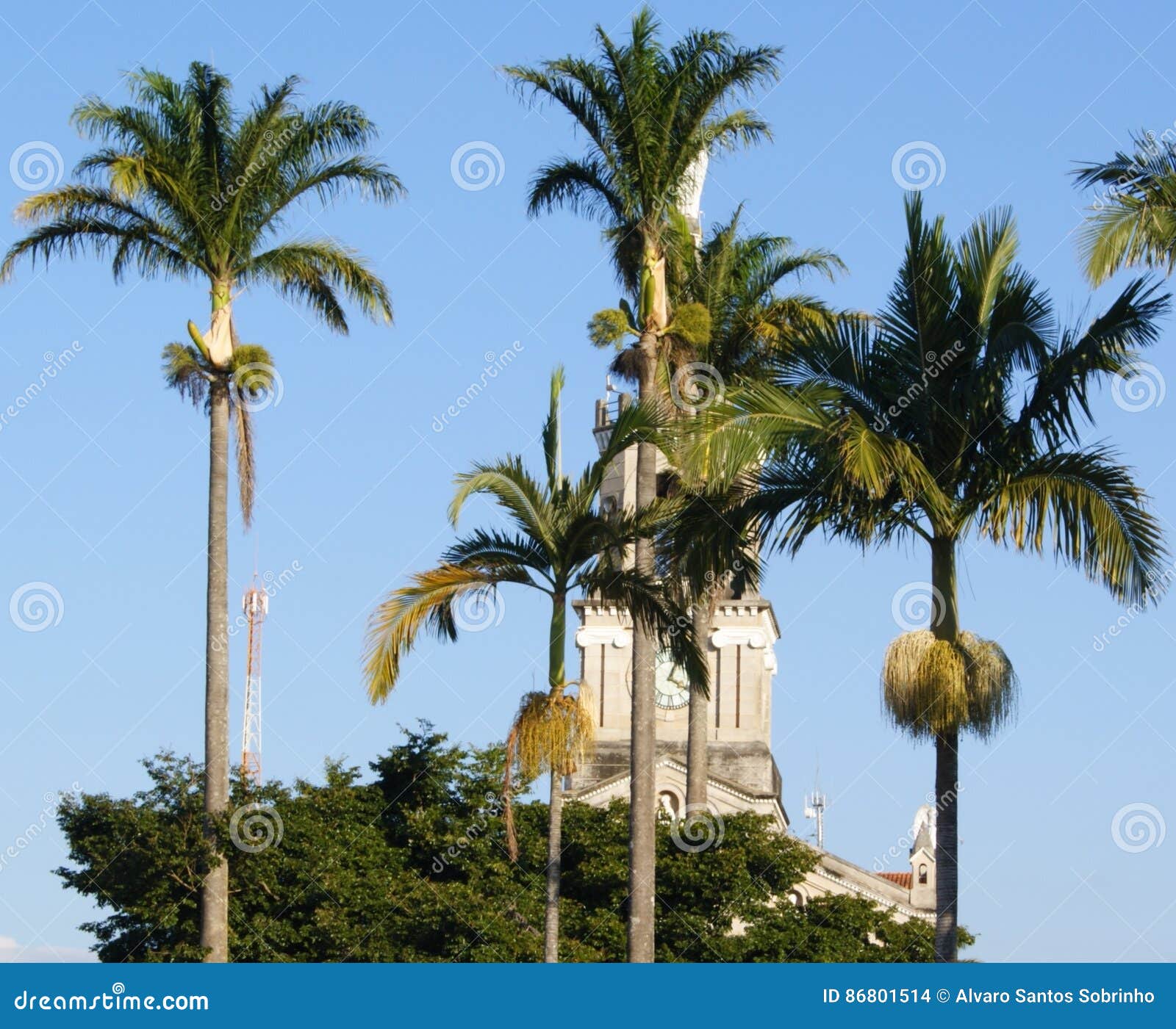 Borda da Mata Minas Gerais stock photo. Image of borda - 86801514