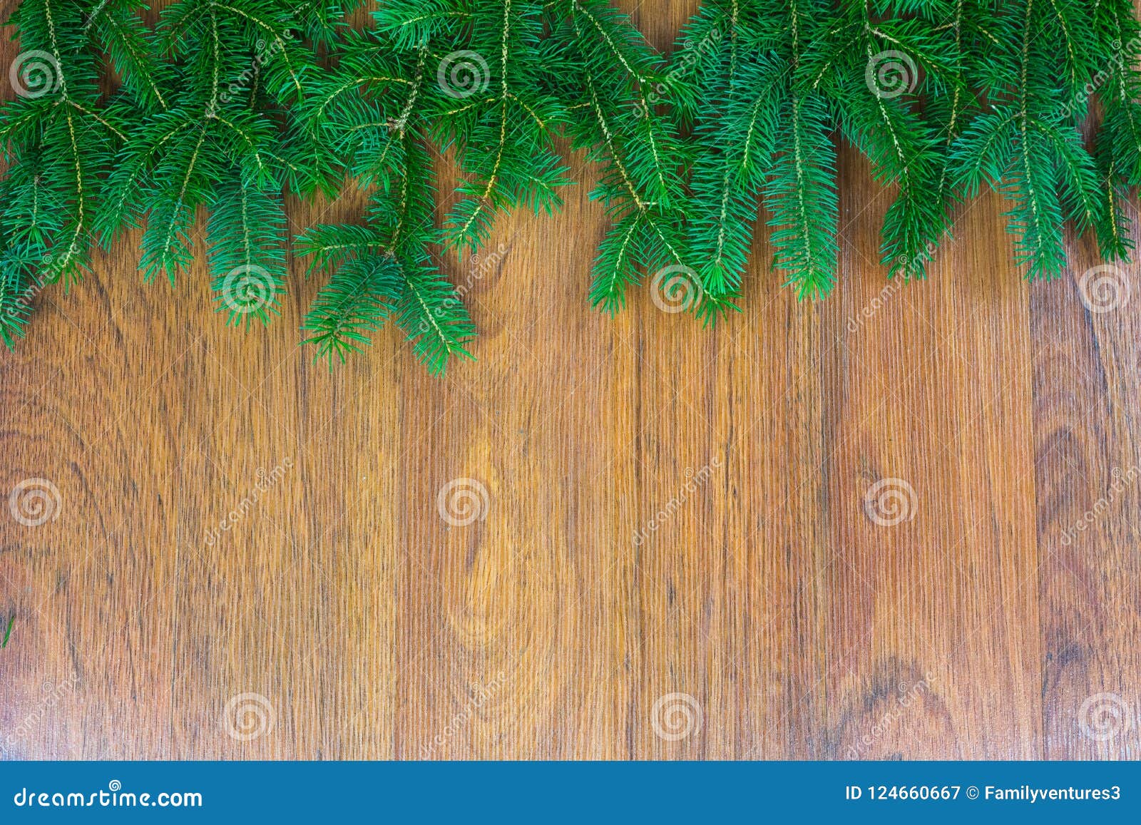 A Top Border of Spruce Branches Stock Image - Image of design ...