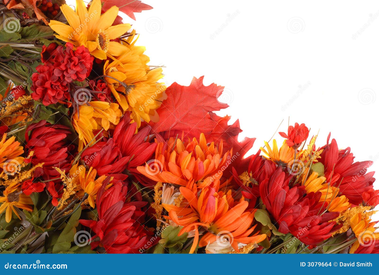 Border of autumn flowers stock photo. Image of thanksgiving - 3079664