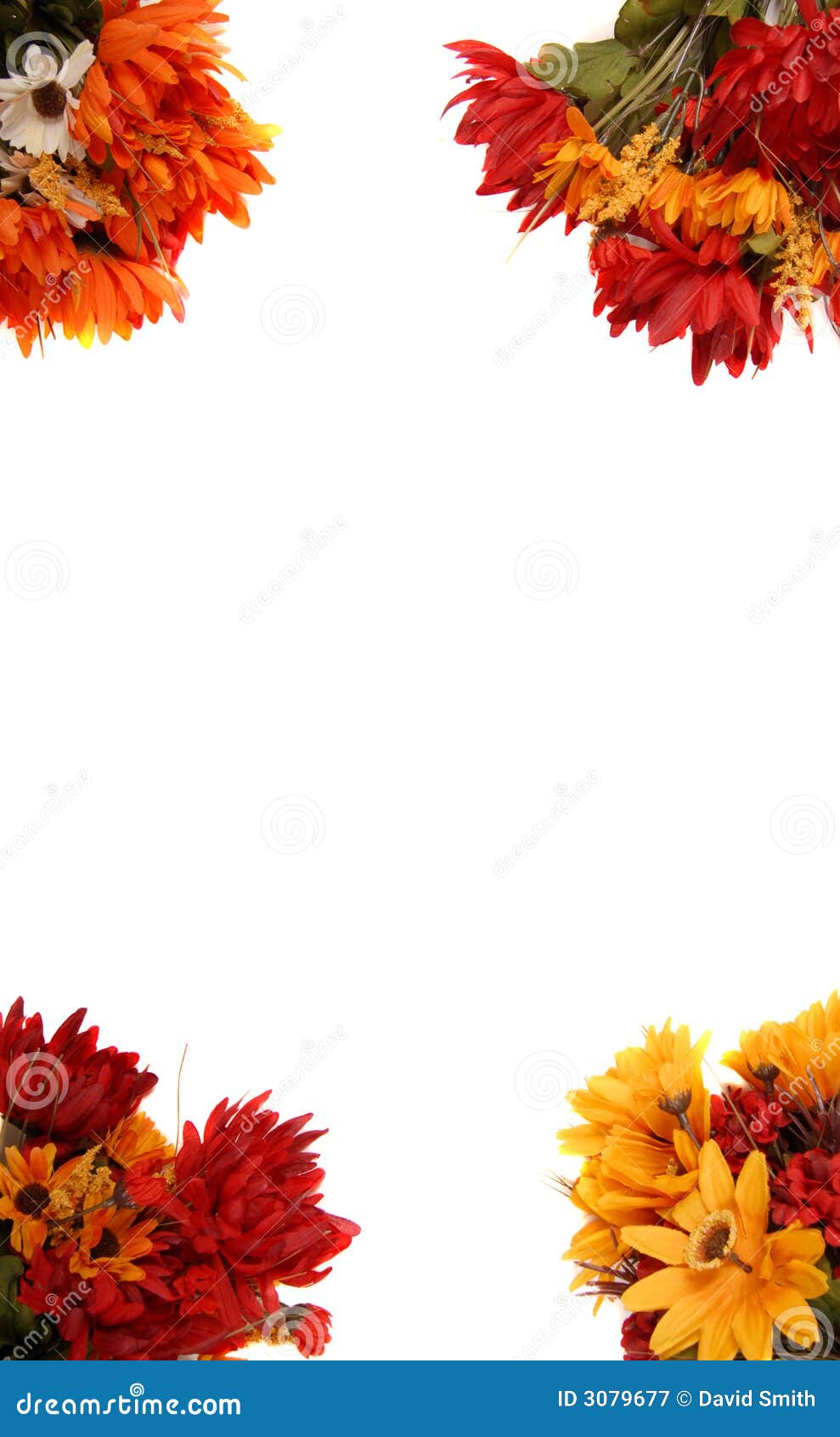 Border of autumn flowers stock image. Image of colorful - 3079677