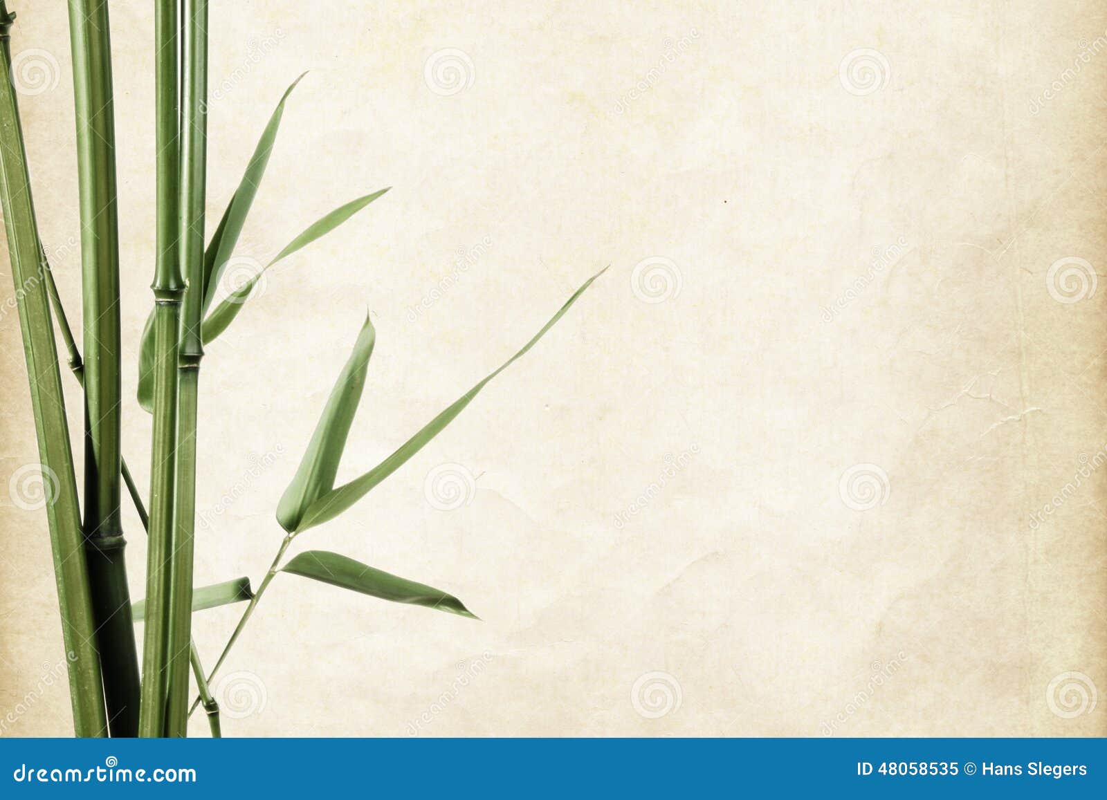 Border of Bamboo Leaves on Paper Stock Image - Image of leaf, foliage ...