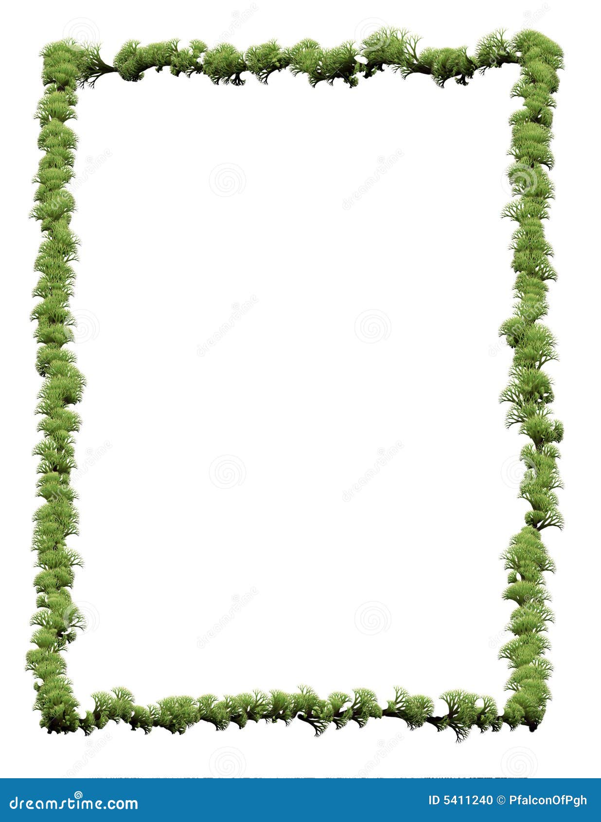 Border: Broccoli stock photo. Image of salad, market, summer - 5411240