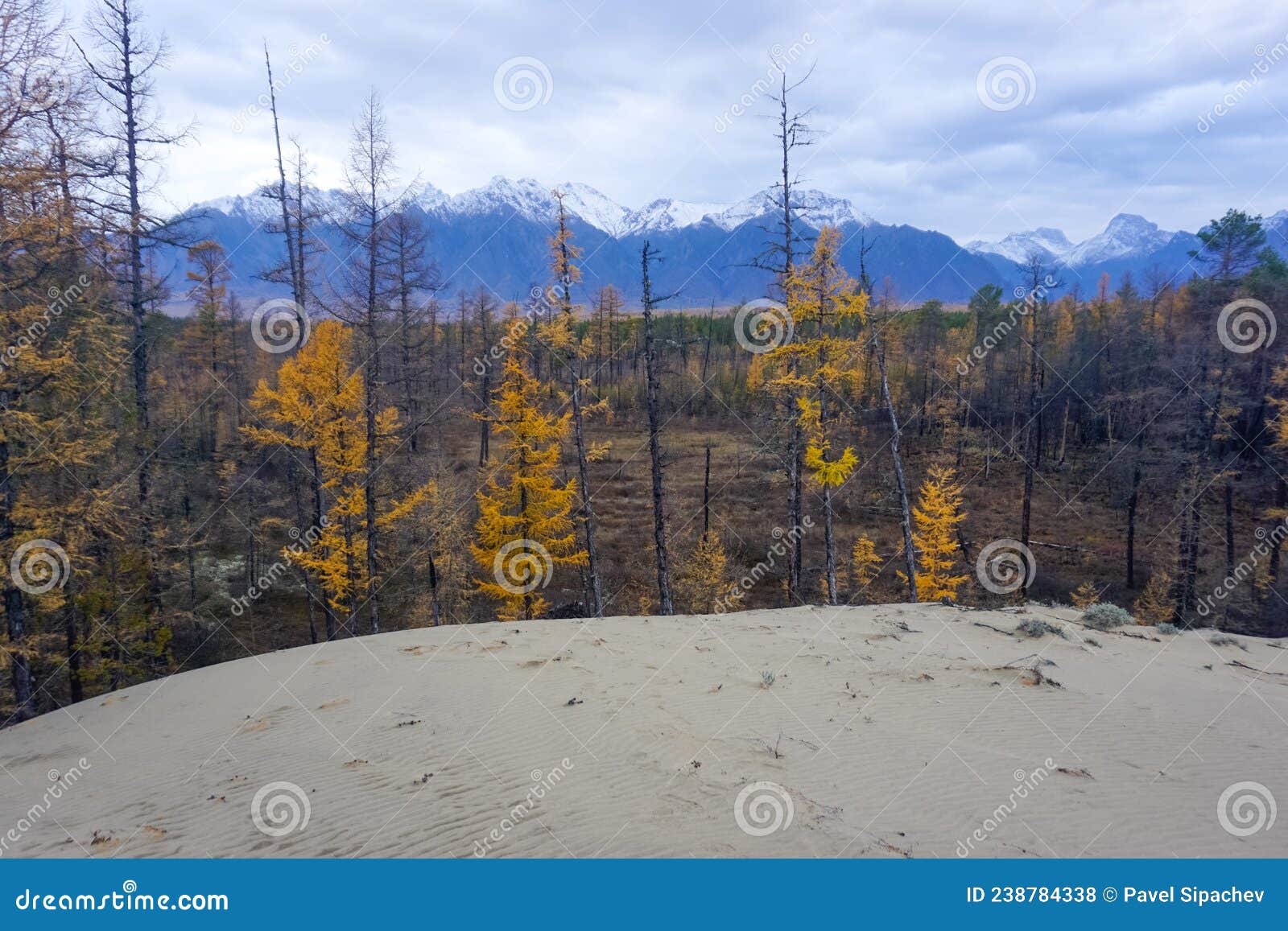 The Border of the Chara Desert and Taiga Stock Photo - Image of baikal ...