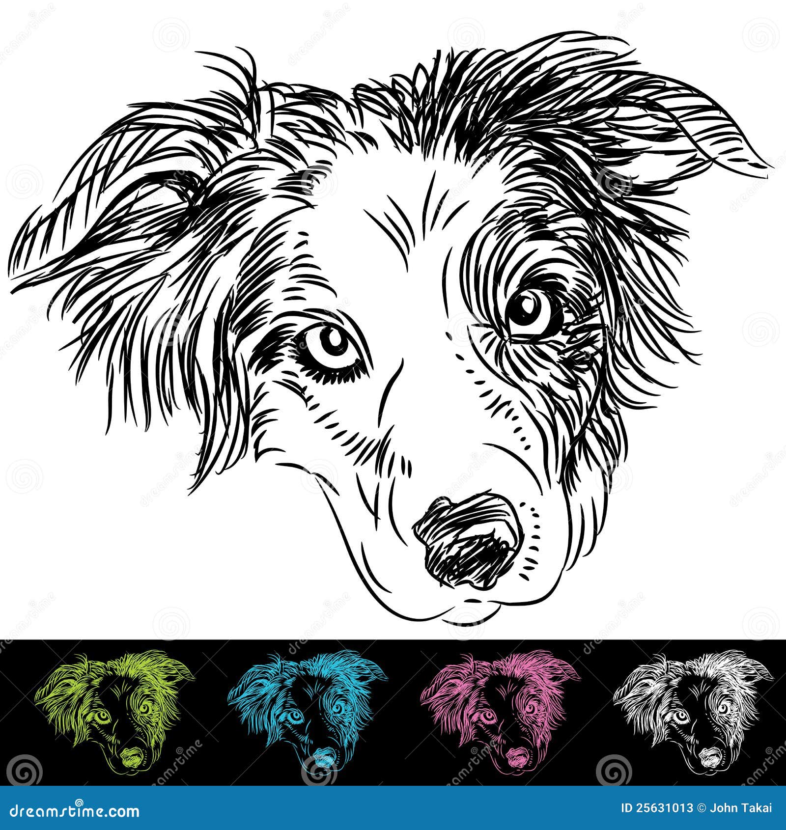 Border Collie Face stock vector. Illustration of drawing - 25631013