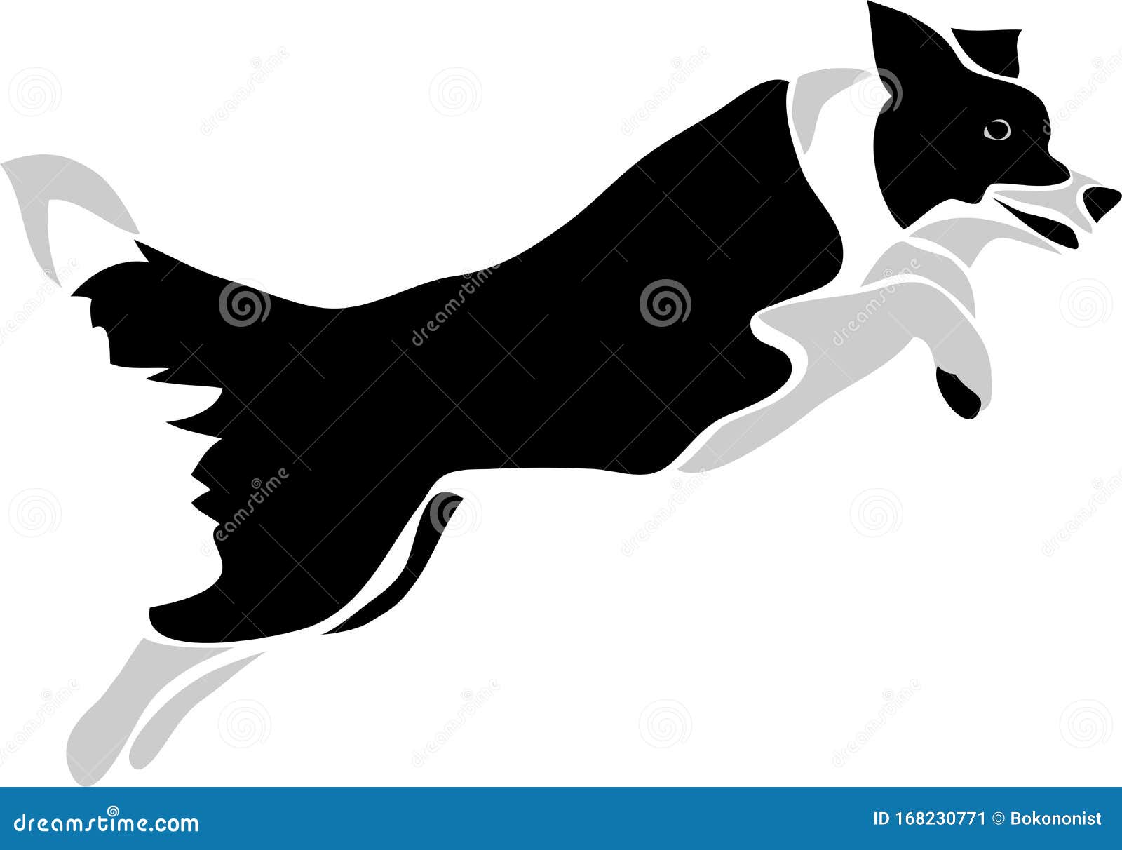 Border Collie Jumping stock vector. Illustration of agility - 168230771