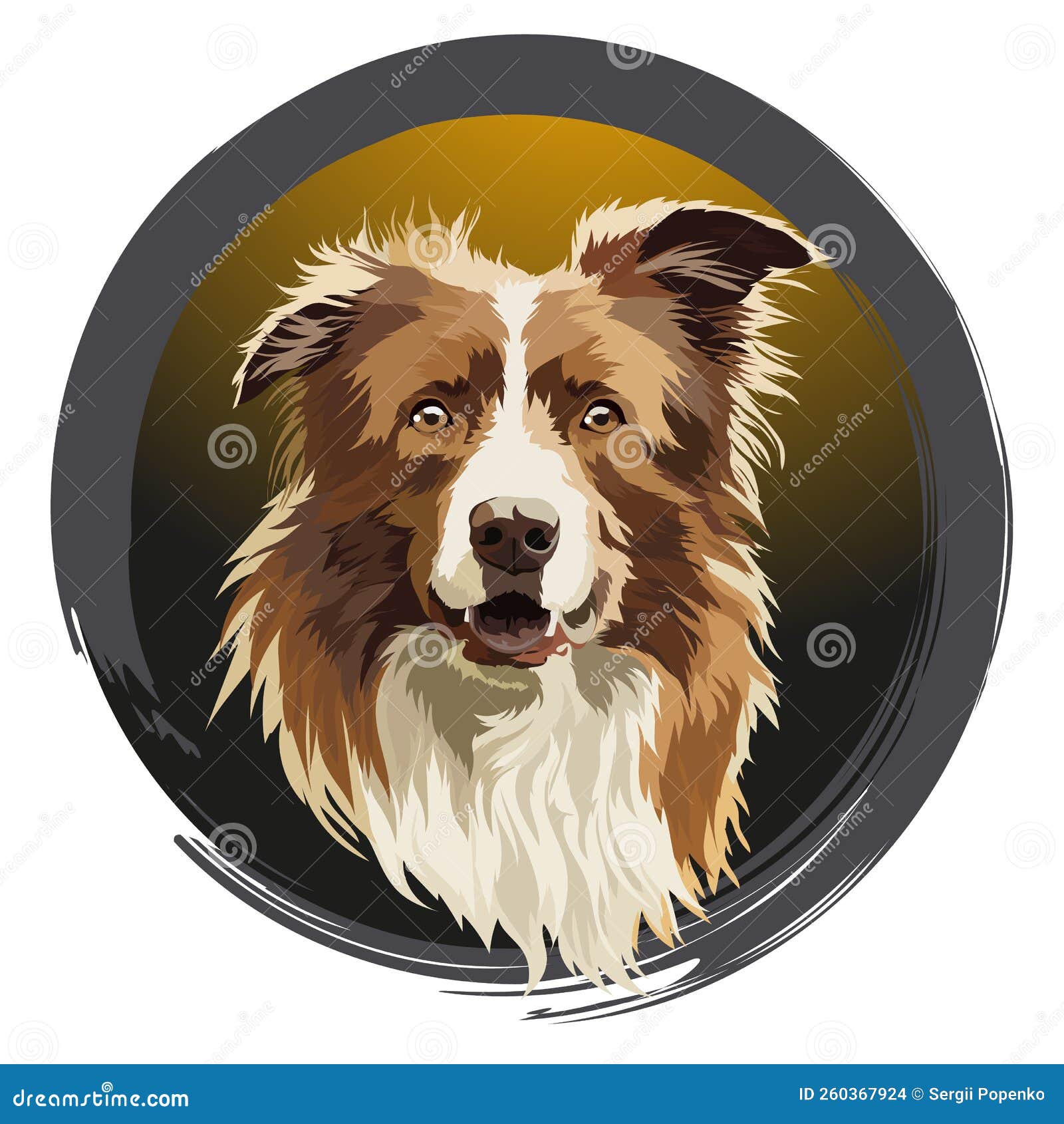 Border Collie Portrait on a Colored Background, Vector Illustration ...