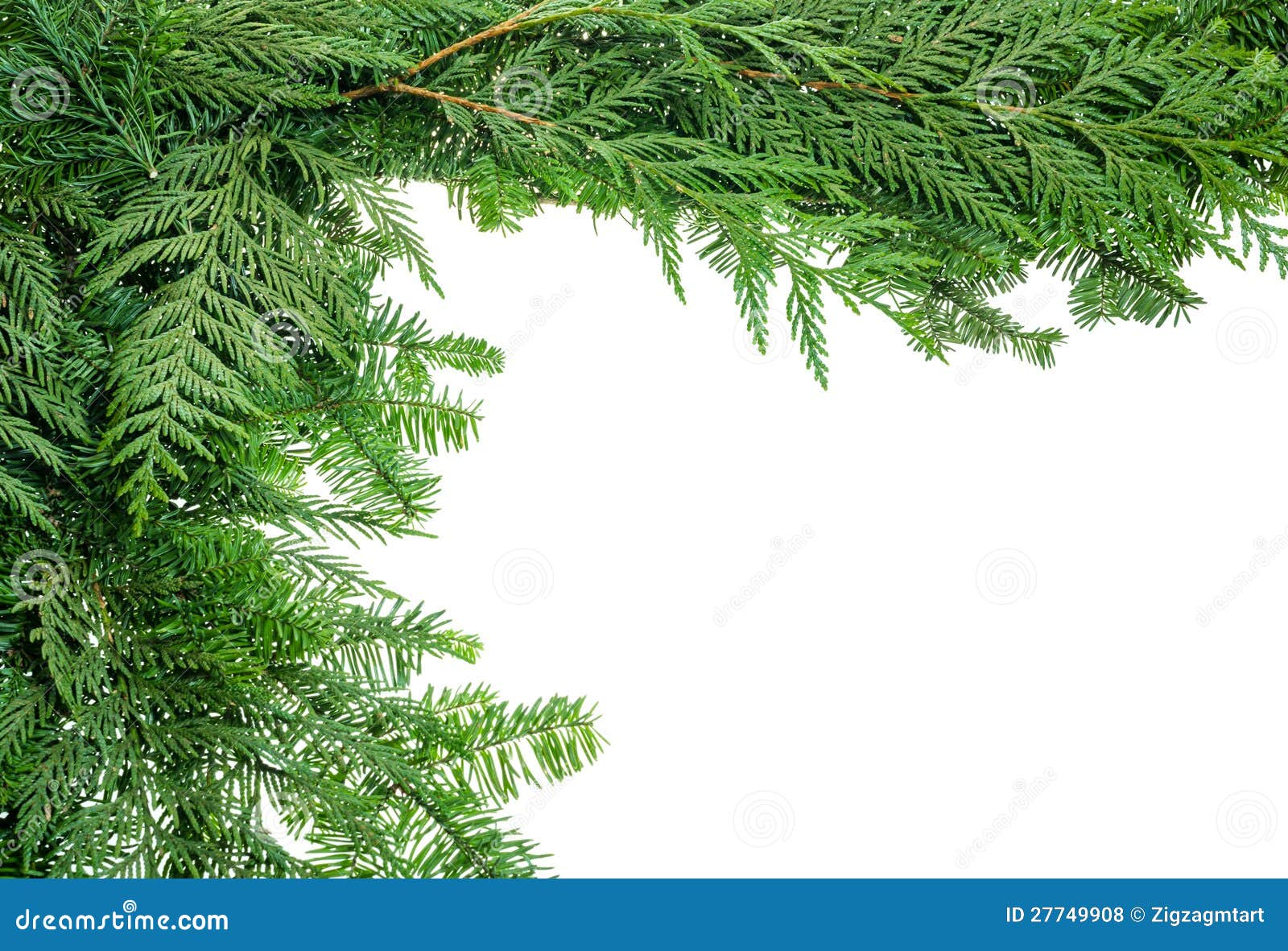 Evergreen Border Corner