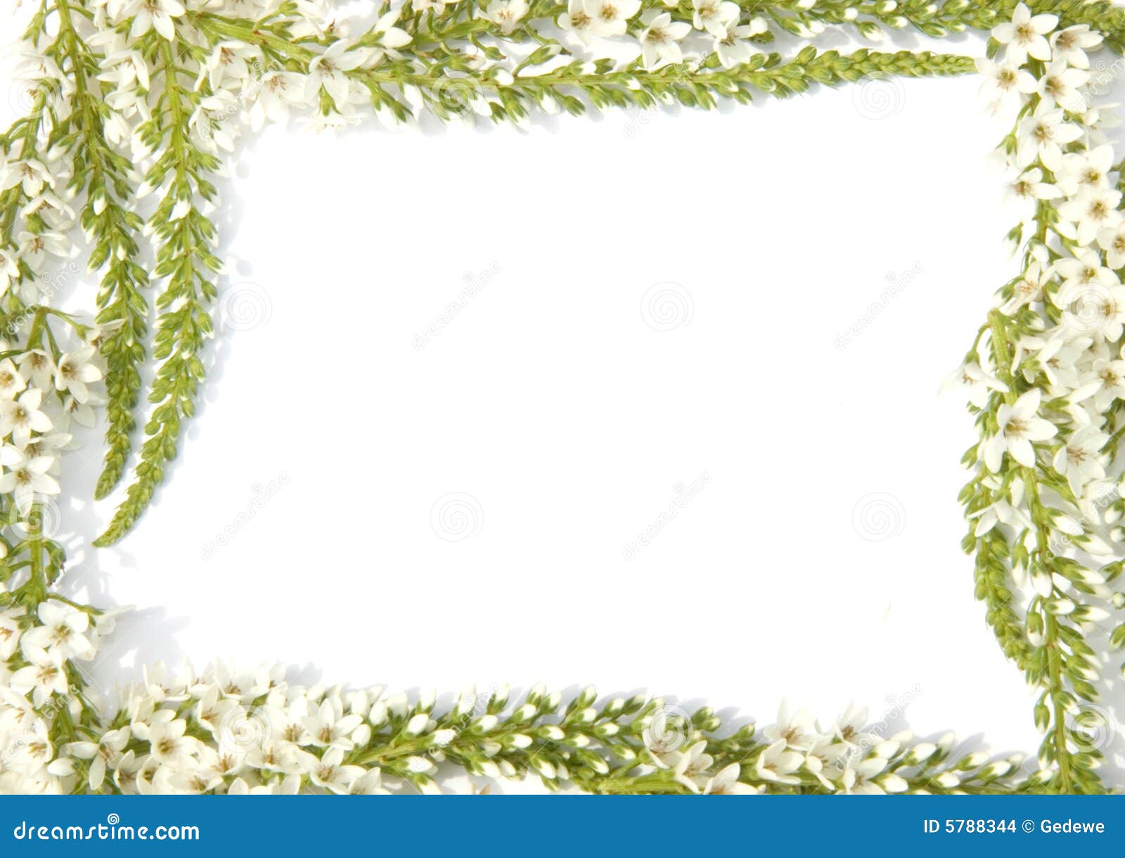 Border with flowers stock photo. Image of border, nature - 5788344