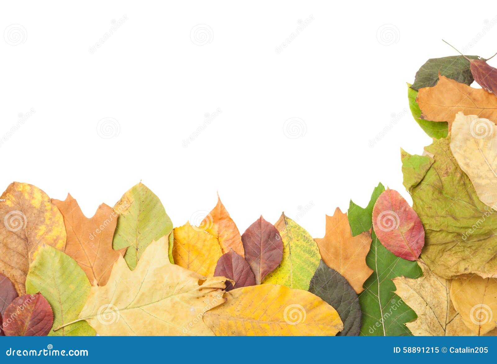 Border or Frame of Autumn Fall Leaves Stock Image - Image of copyspace ...