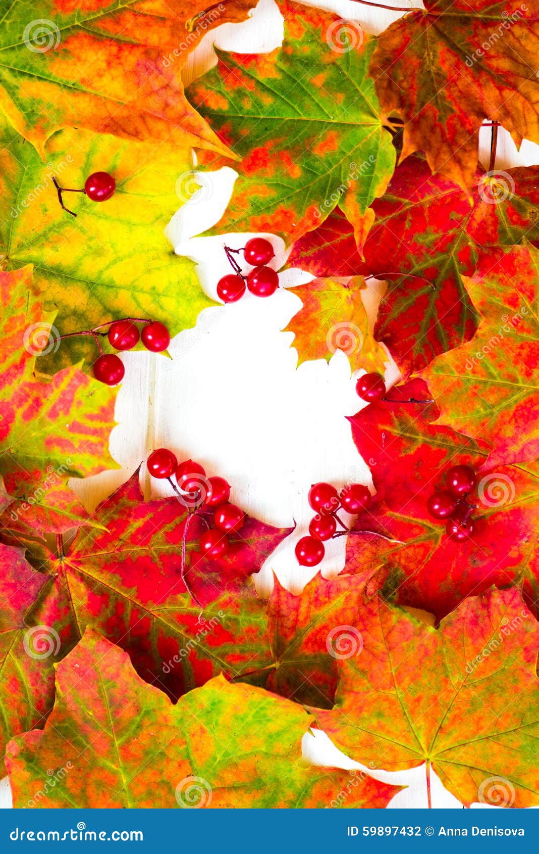 Border Frame of Colorful Autumn Leaves and Berries Stock Photo - Image ...