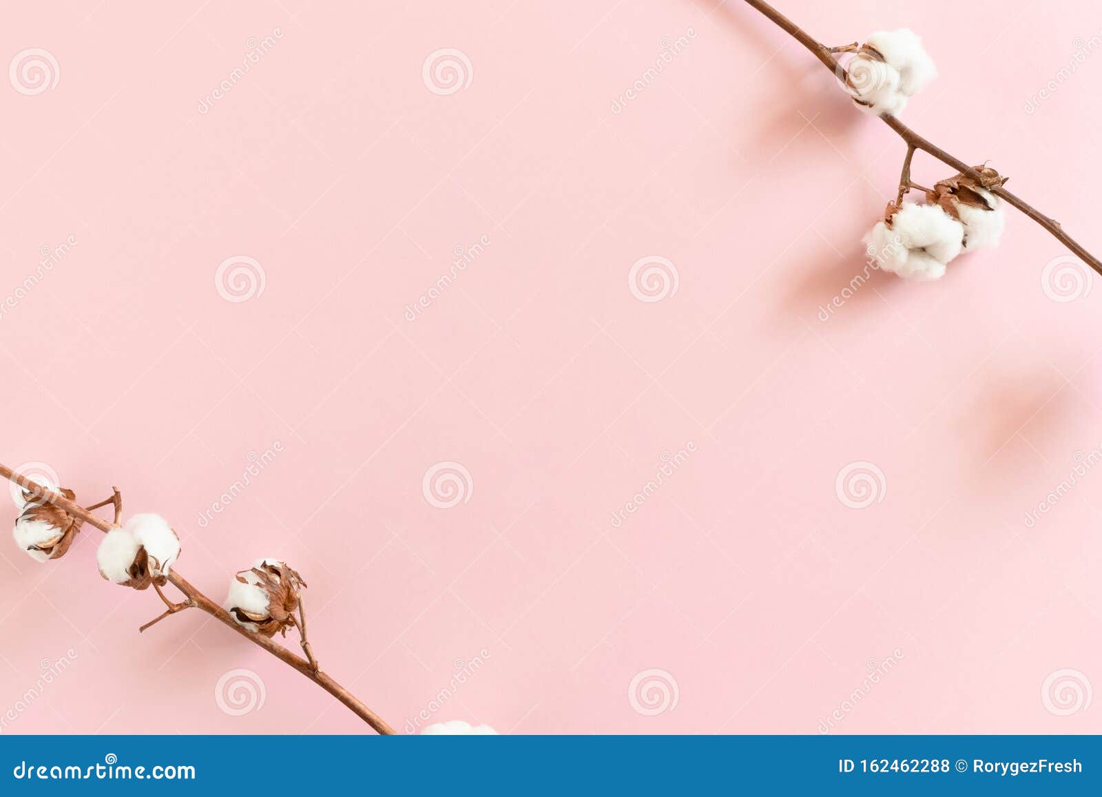Border Frame Made of Cotton Stock Photo - Image of border, frame: 162462288
